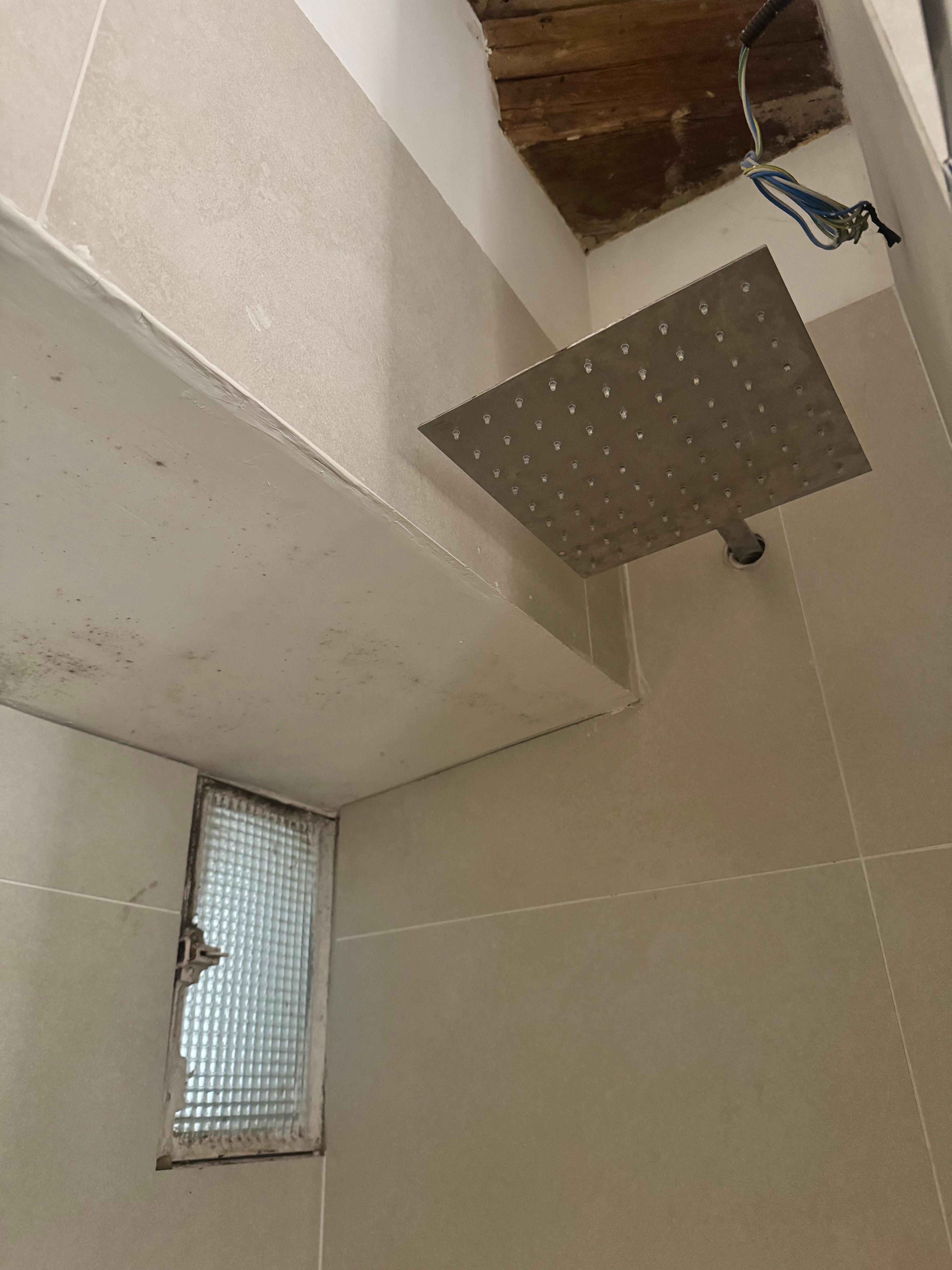 The electricity and mold at the shower 