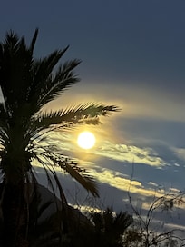 The moon coming up on our walk to The Arches restaurant.