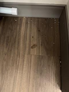 Dirt and debris.