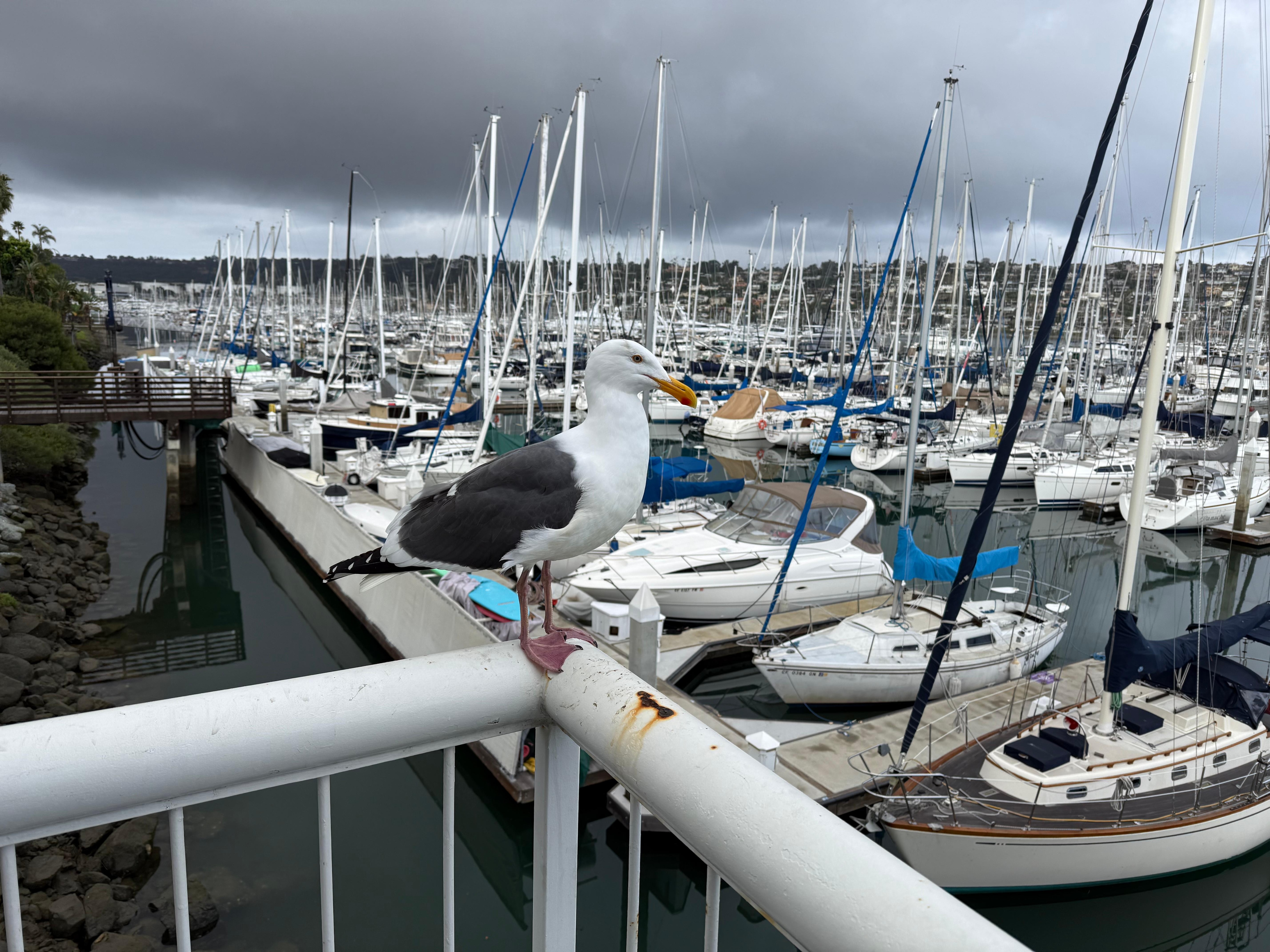 View from our balcony 