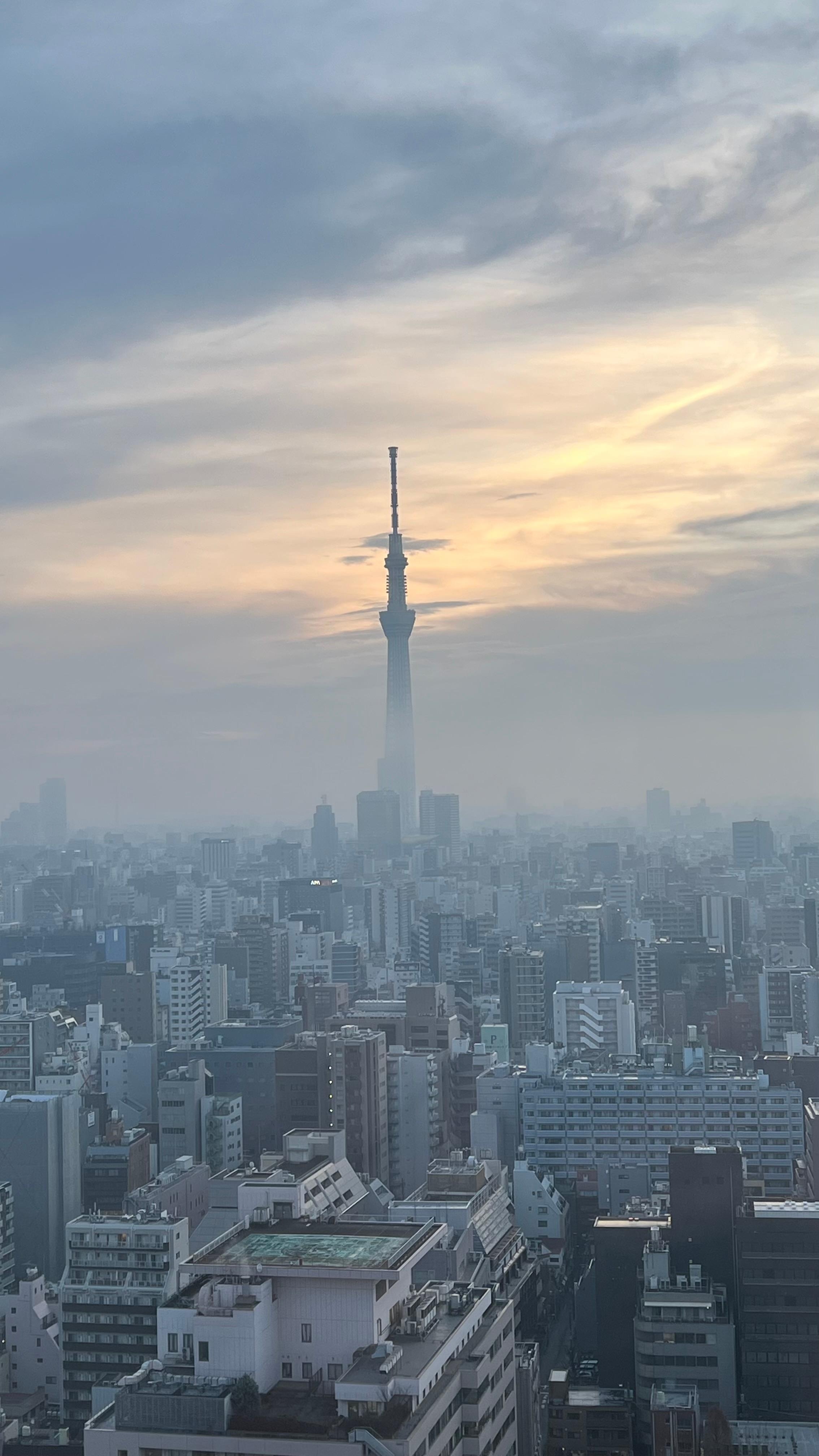 Utsikt från rumsfönstret