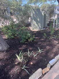 Beautiful landscaping.