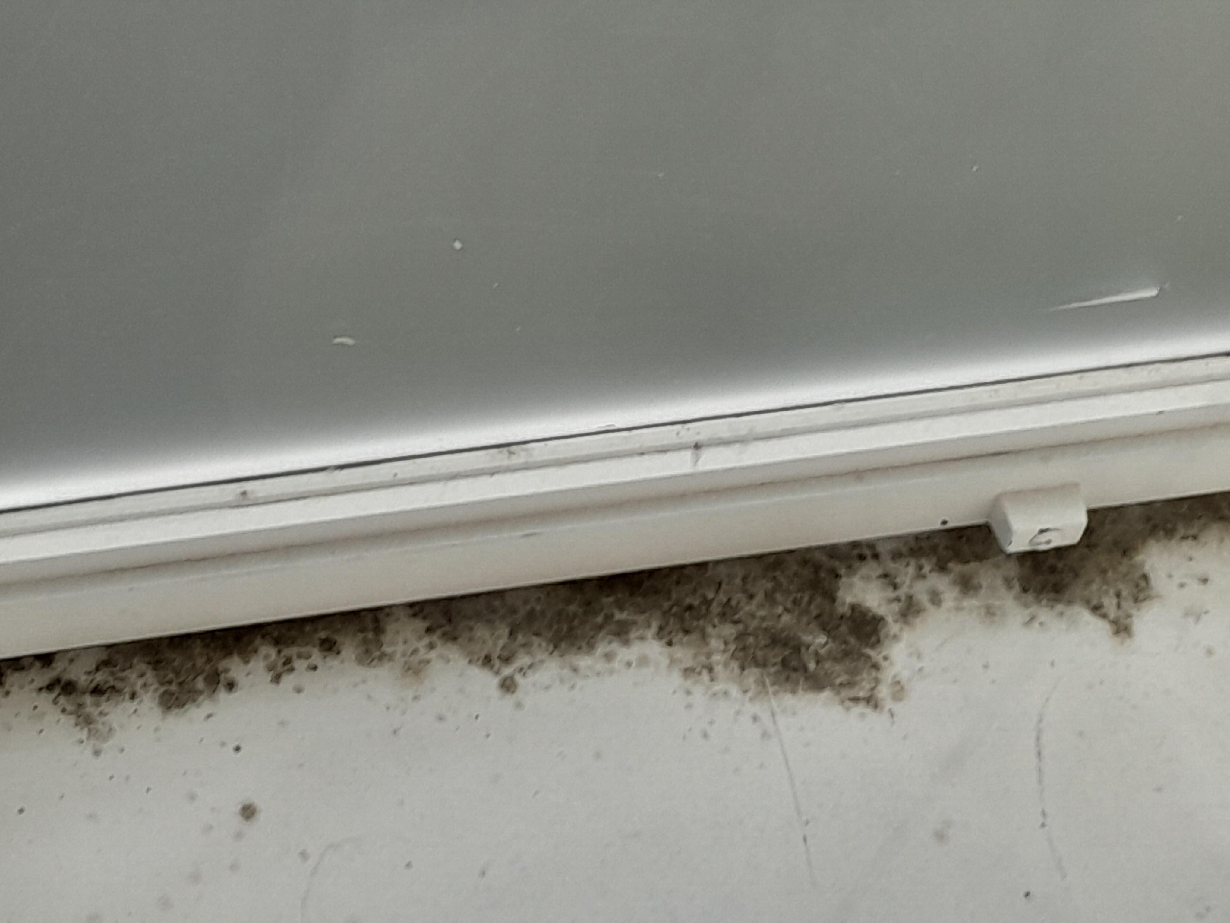 It looks like black mould. I hope it isn't. 