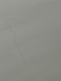 a piece of hair