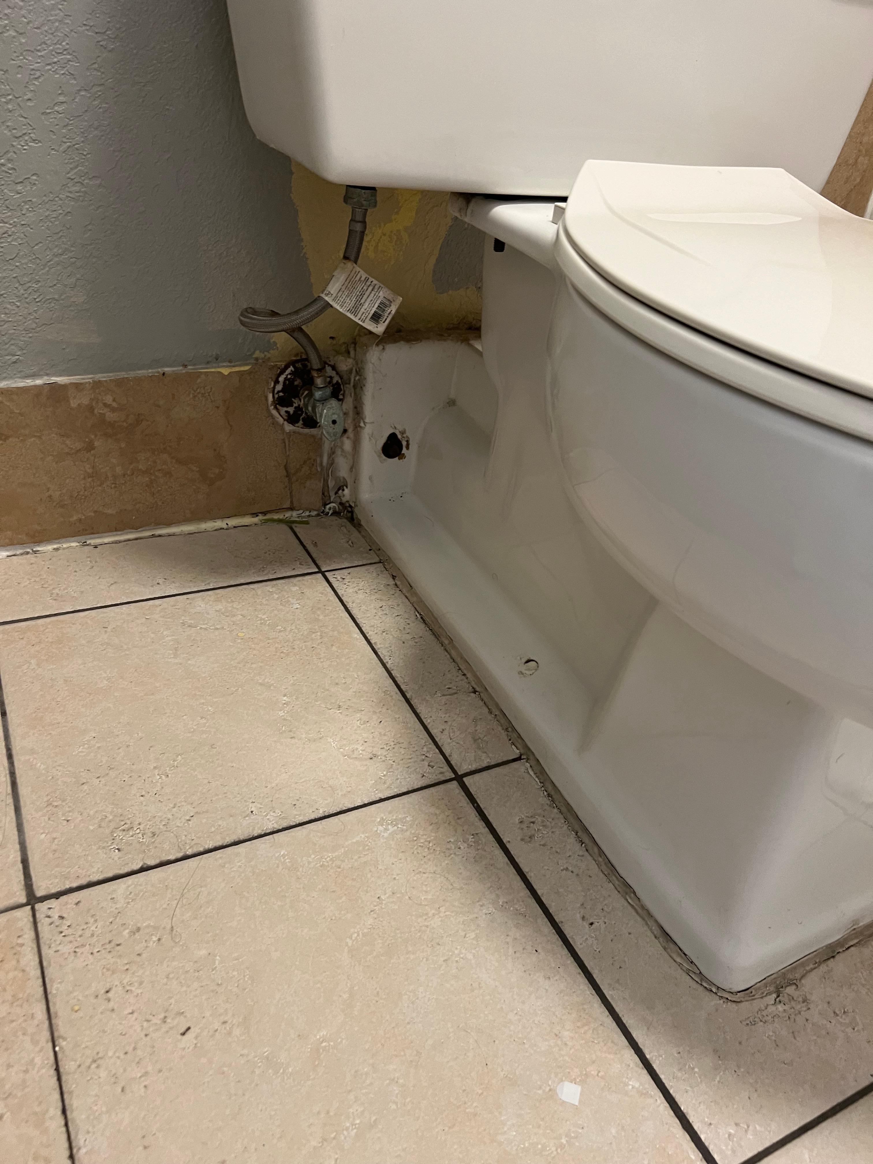 Leaky toilet