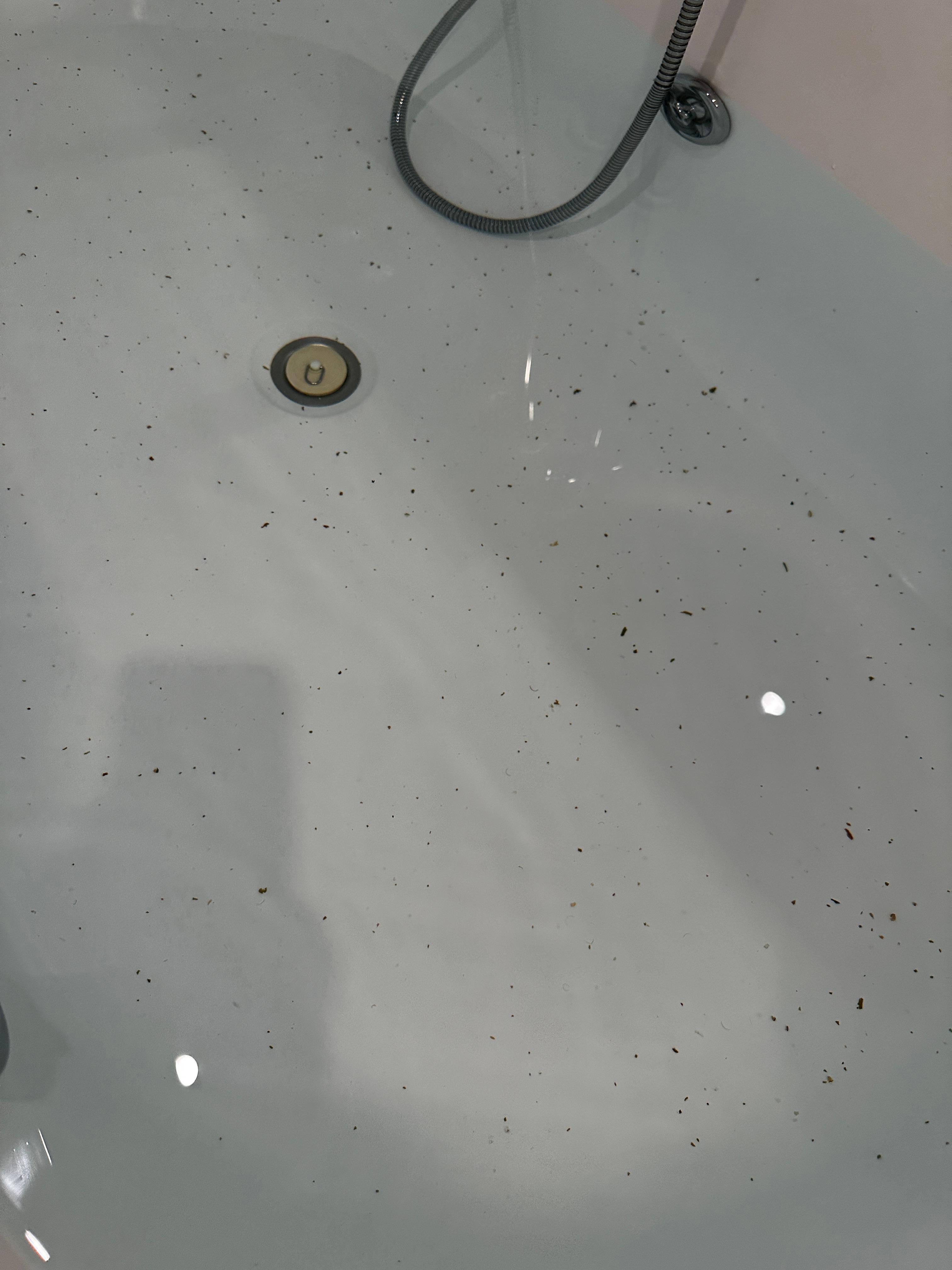 Need to deep clean 