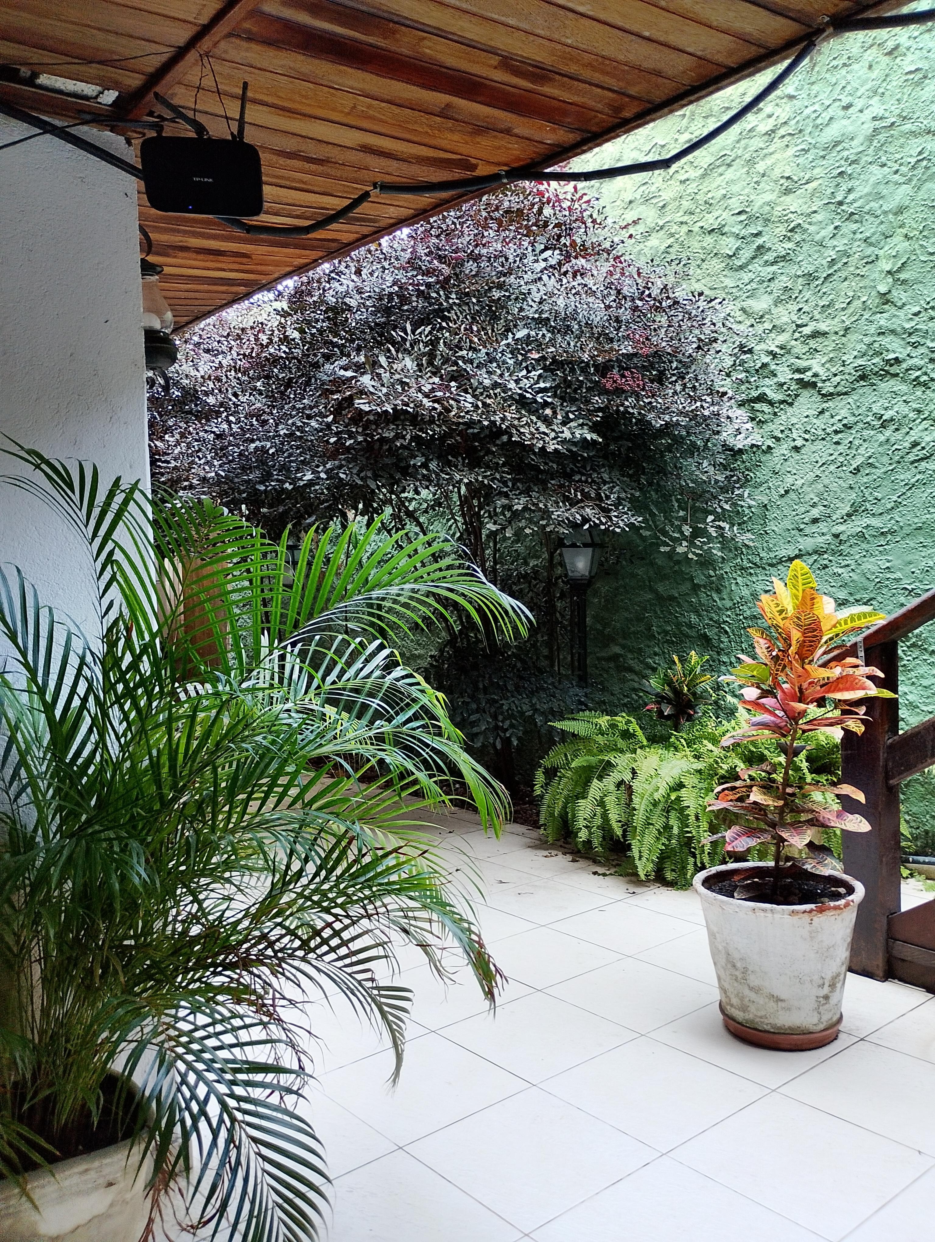 Tem um jardim  espaçoso.