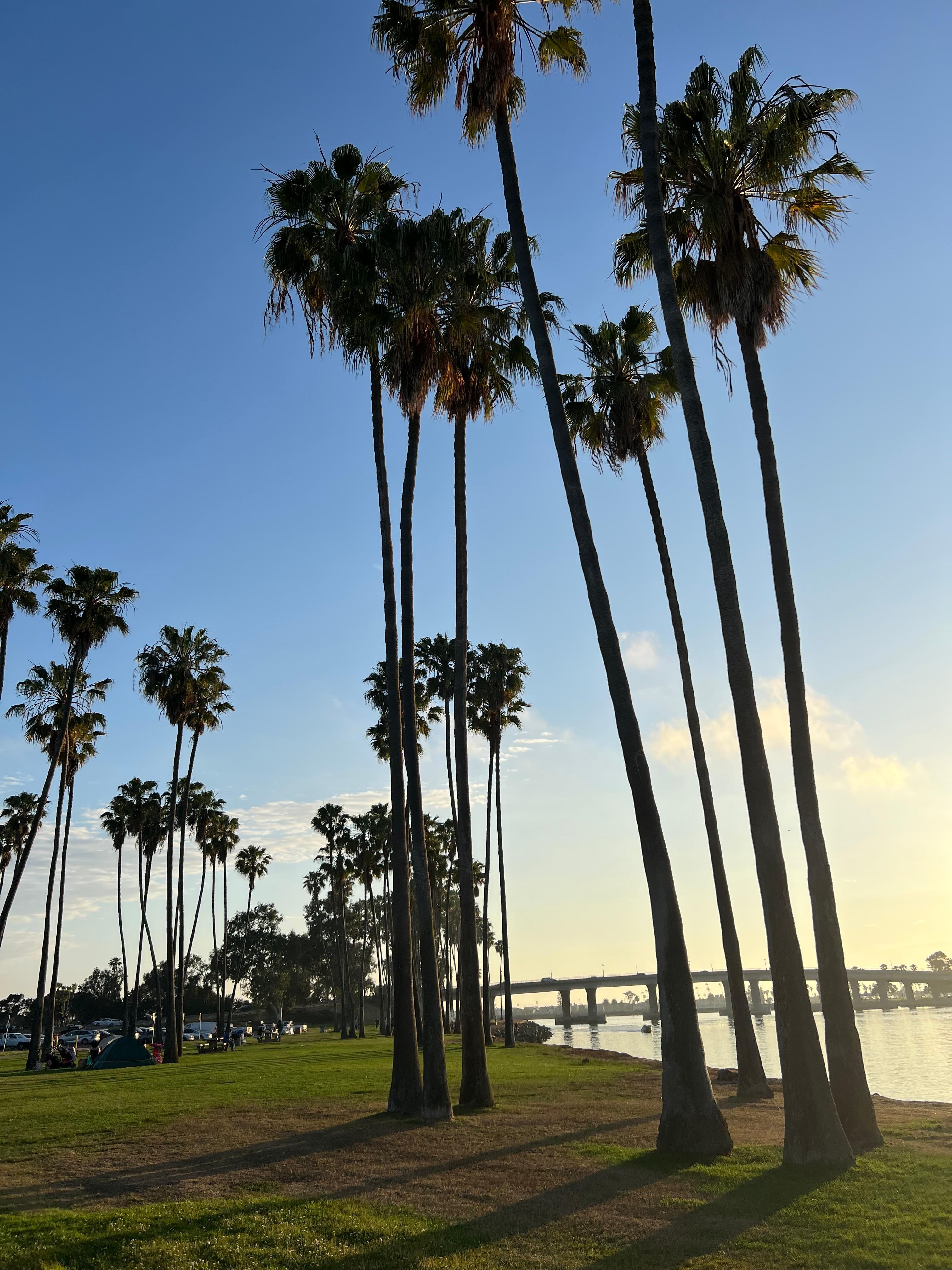 Bay view
