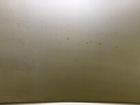 Stains on the ceiling