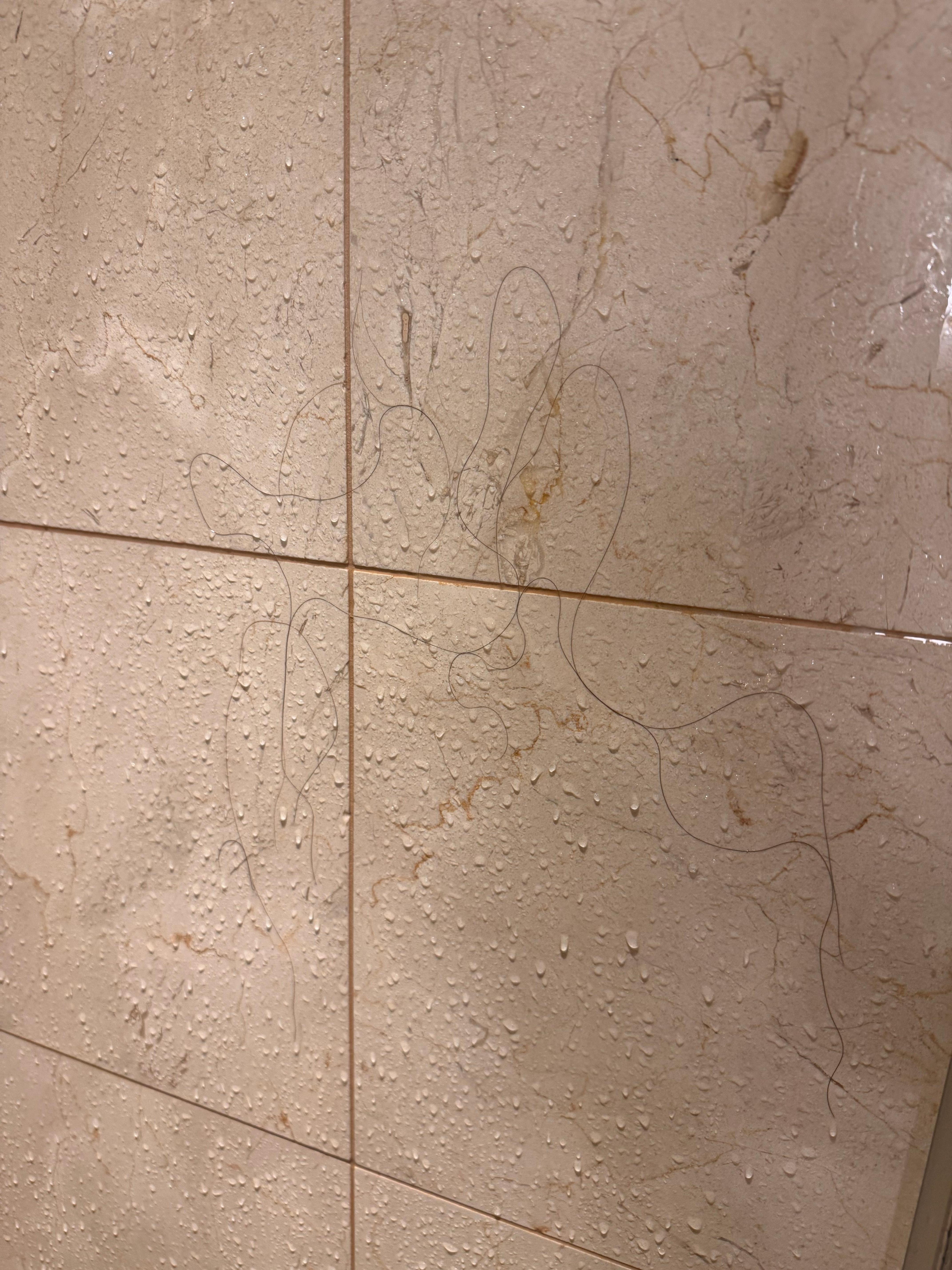 Shower and some hair on the wall, disgusting 