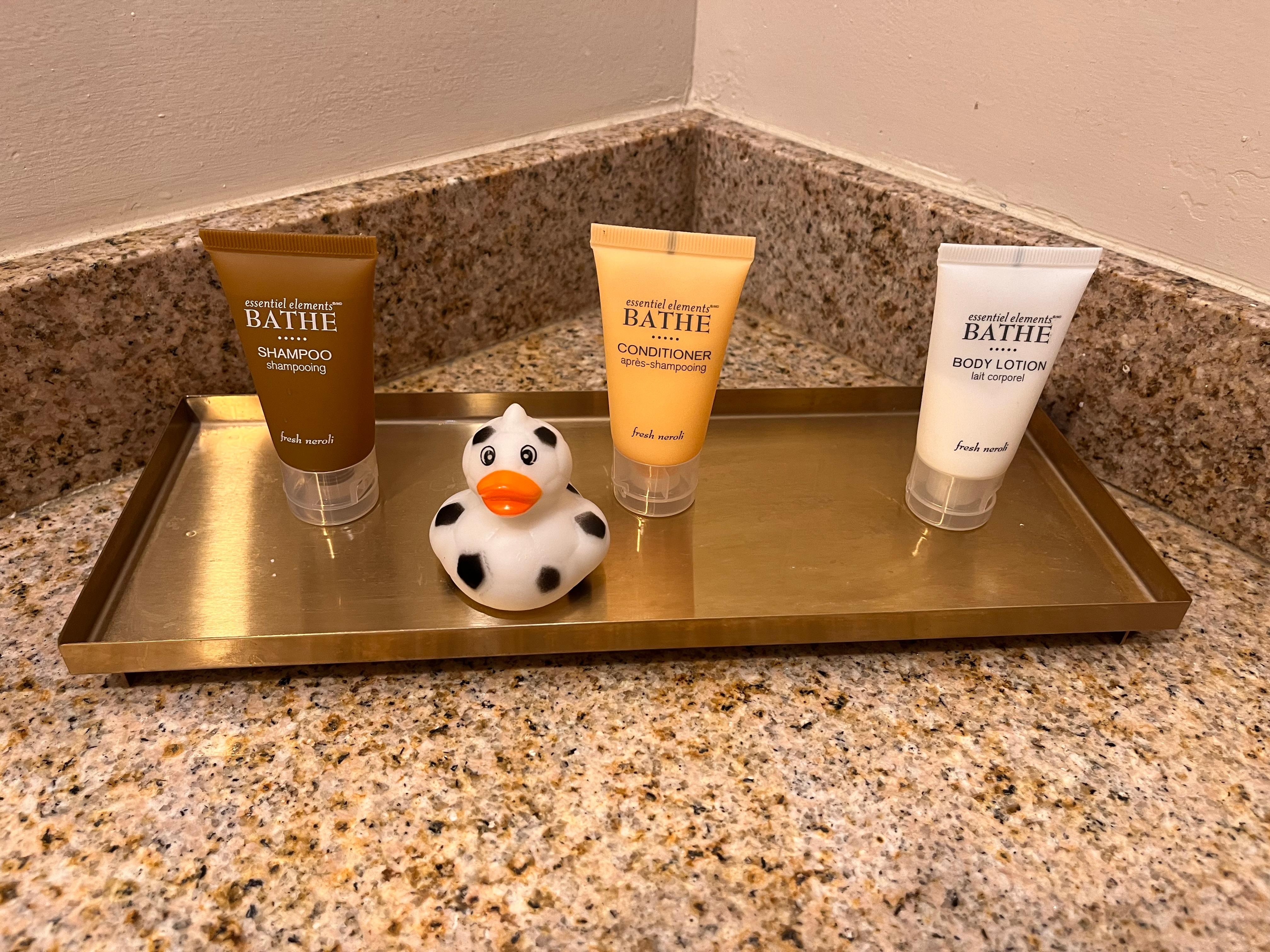 Bathroom amenities 