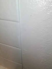Pubic hair/hair throughout bathroom and room