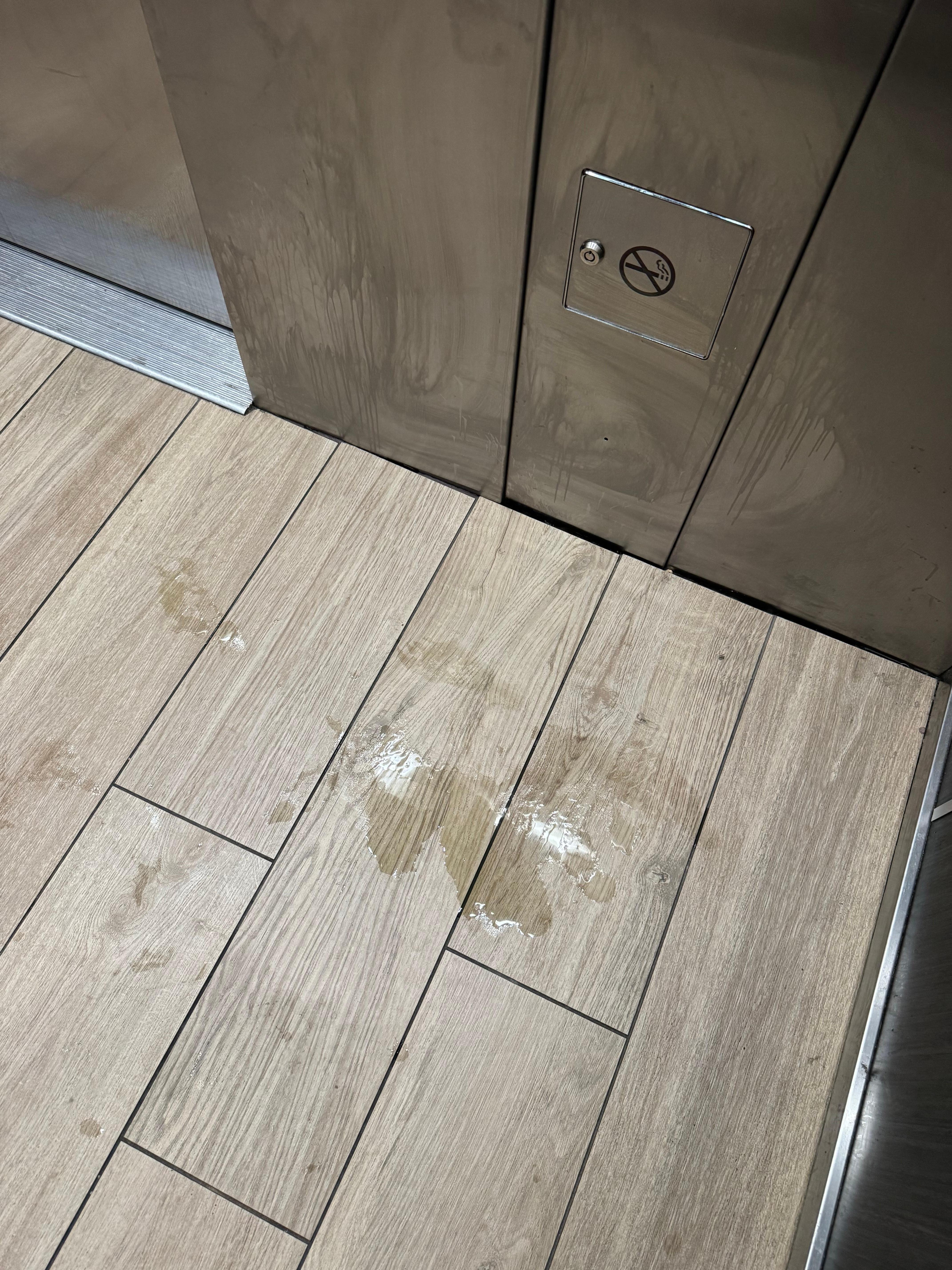 Hotel elevators, dog urine