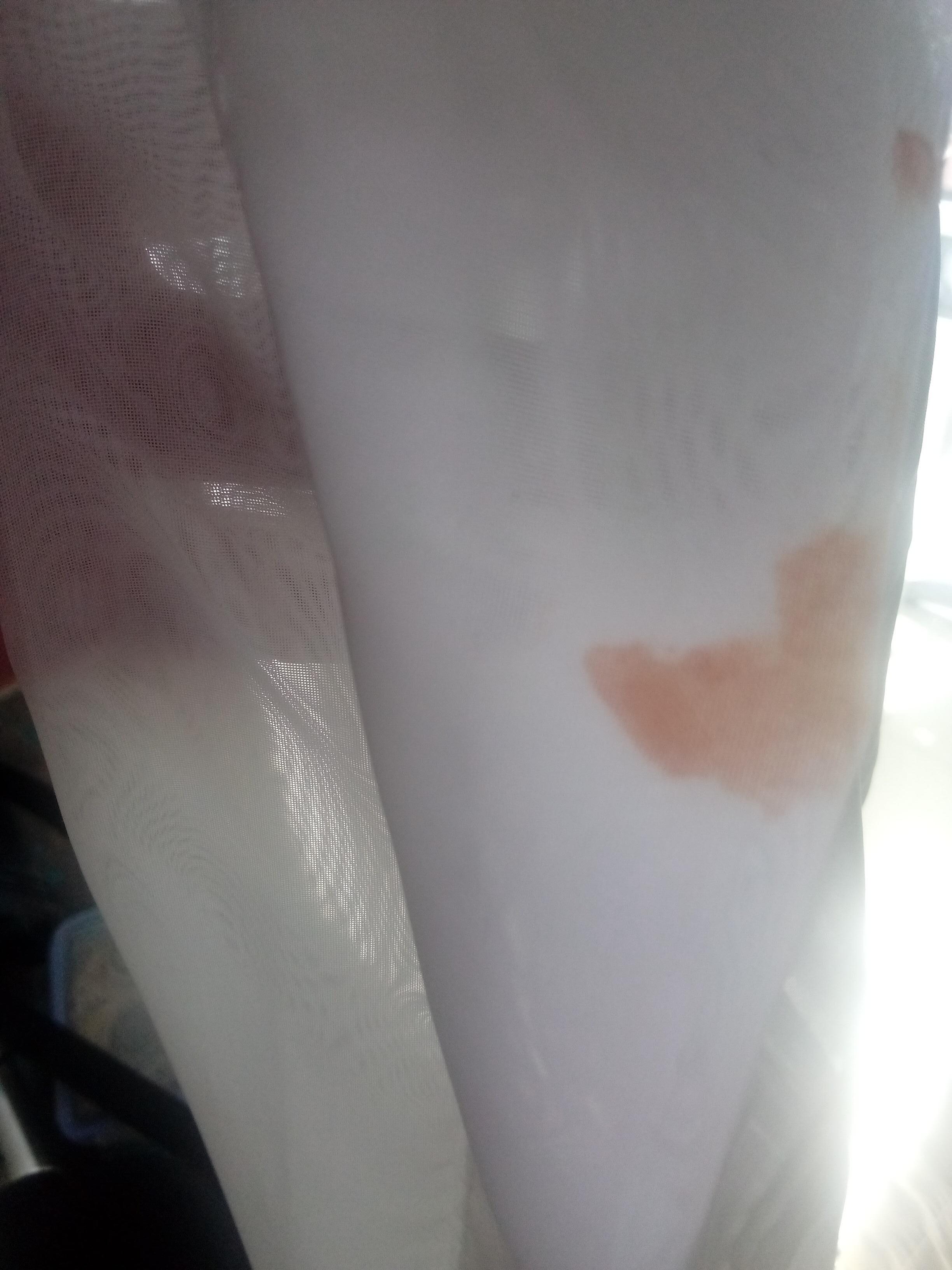 More blood on curtains/nets