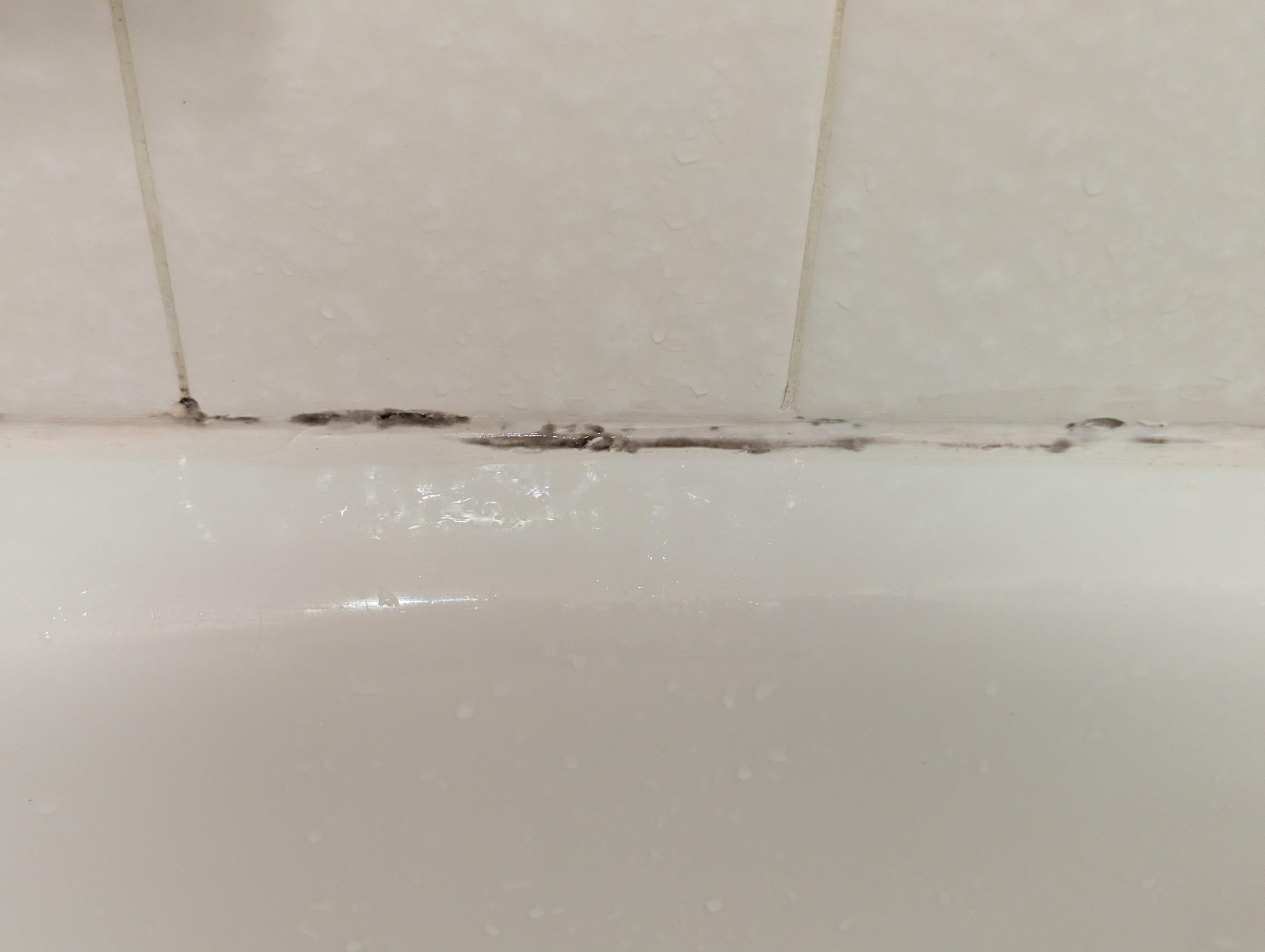 Bathroom had mold.
