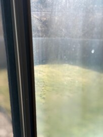 Window so dirty could not see out.