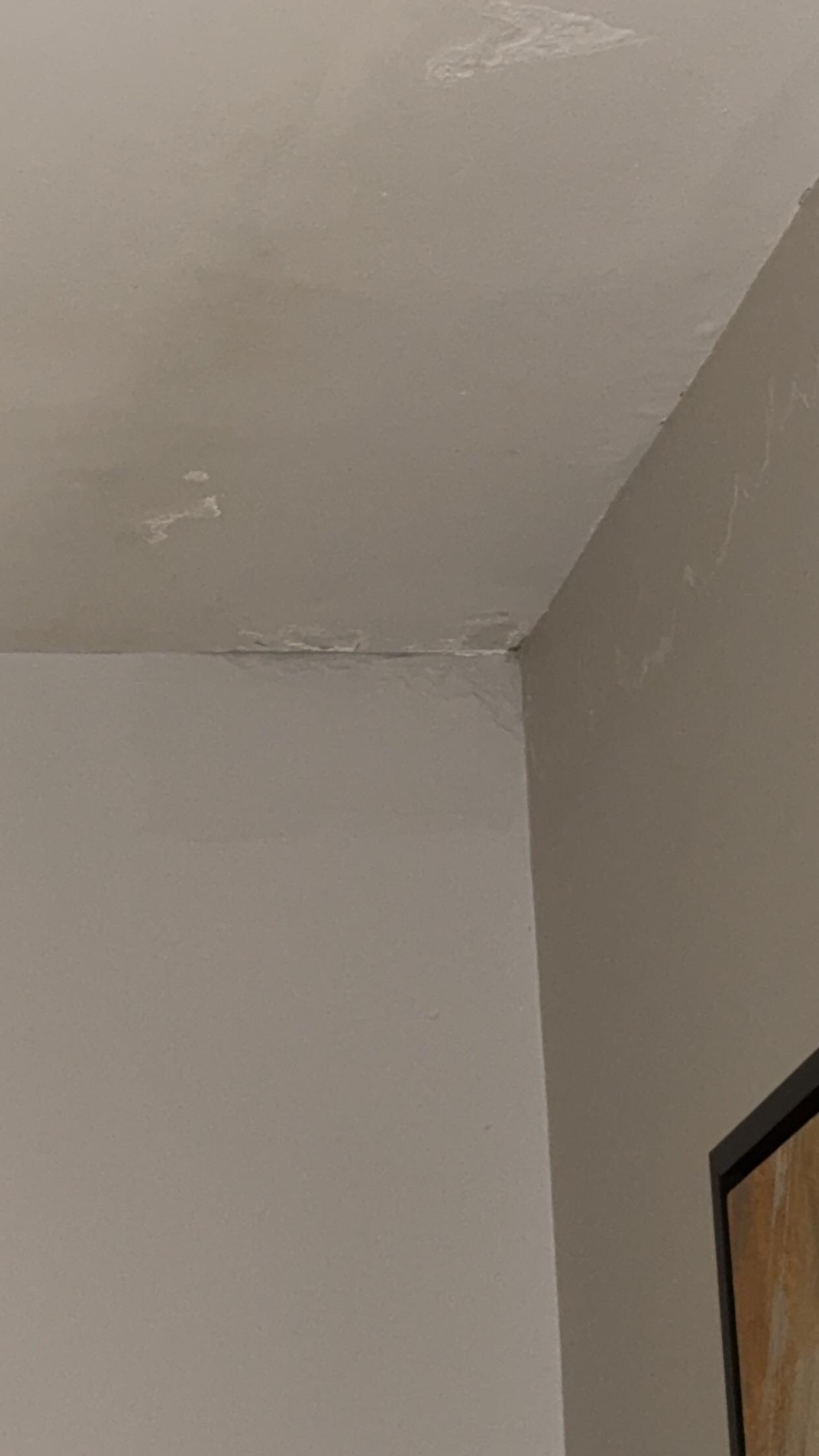 Mold in the bathroom 