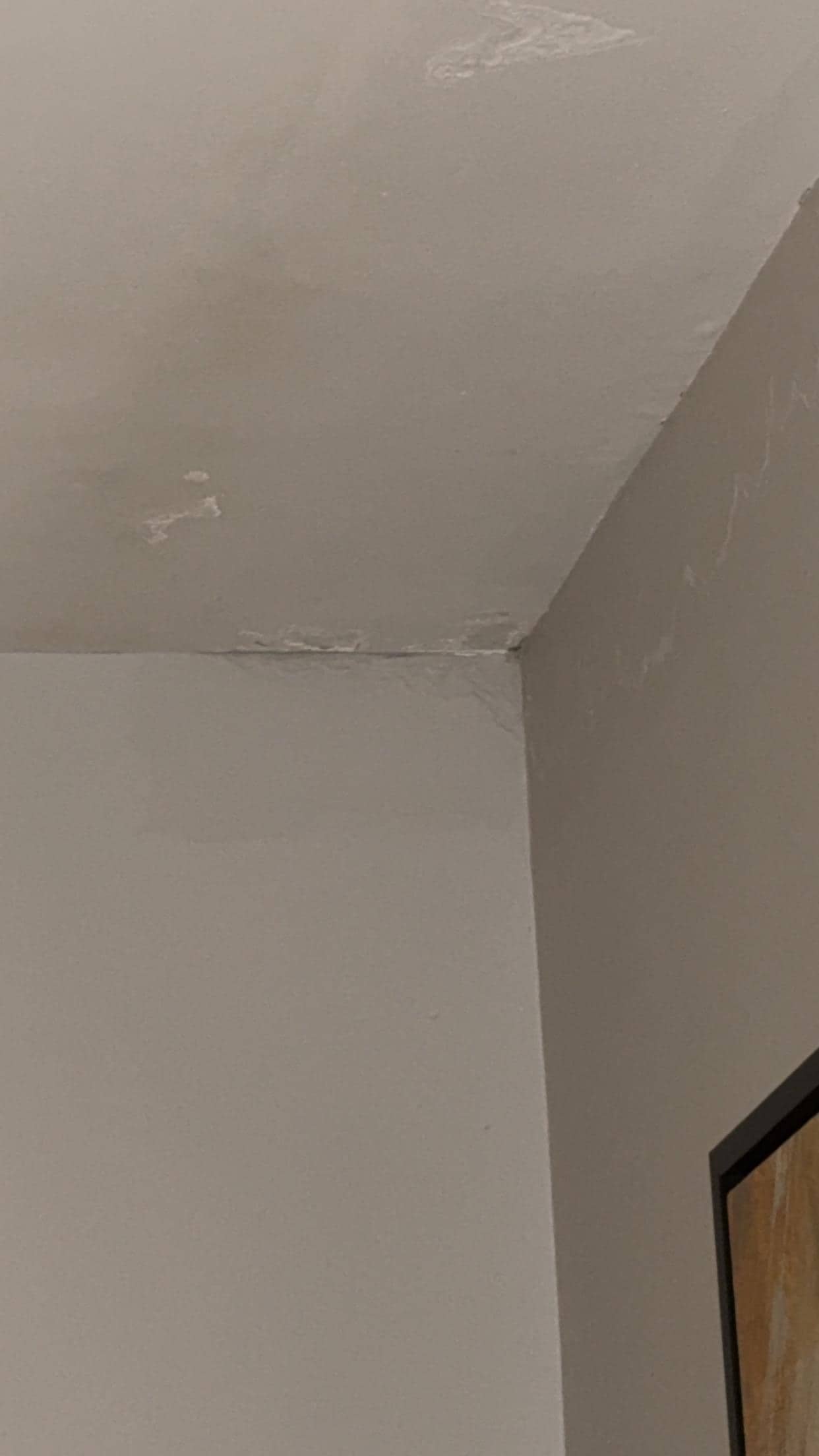 Mold in the bathroom