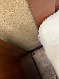 Fezes de algum animal.