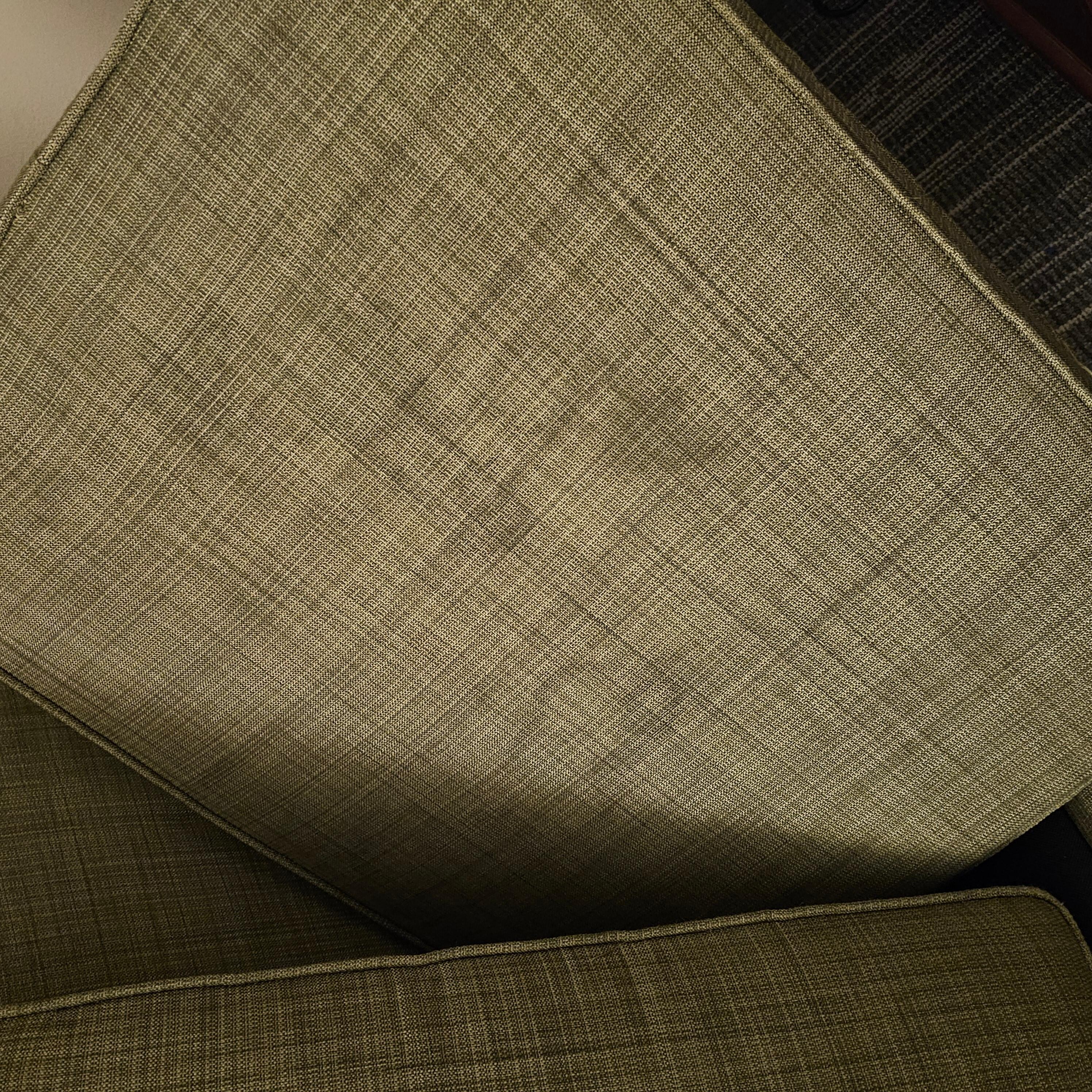 One of several stains on the hide a bed sofa.