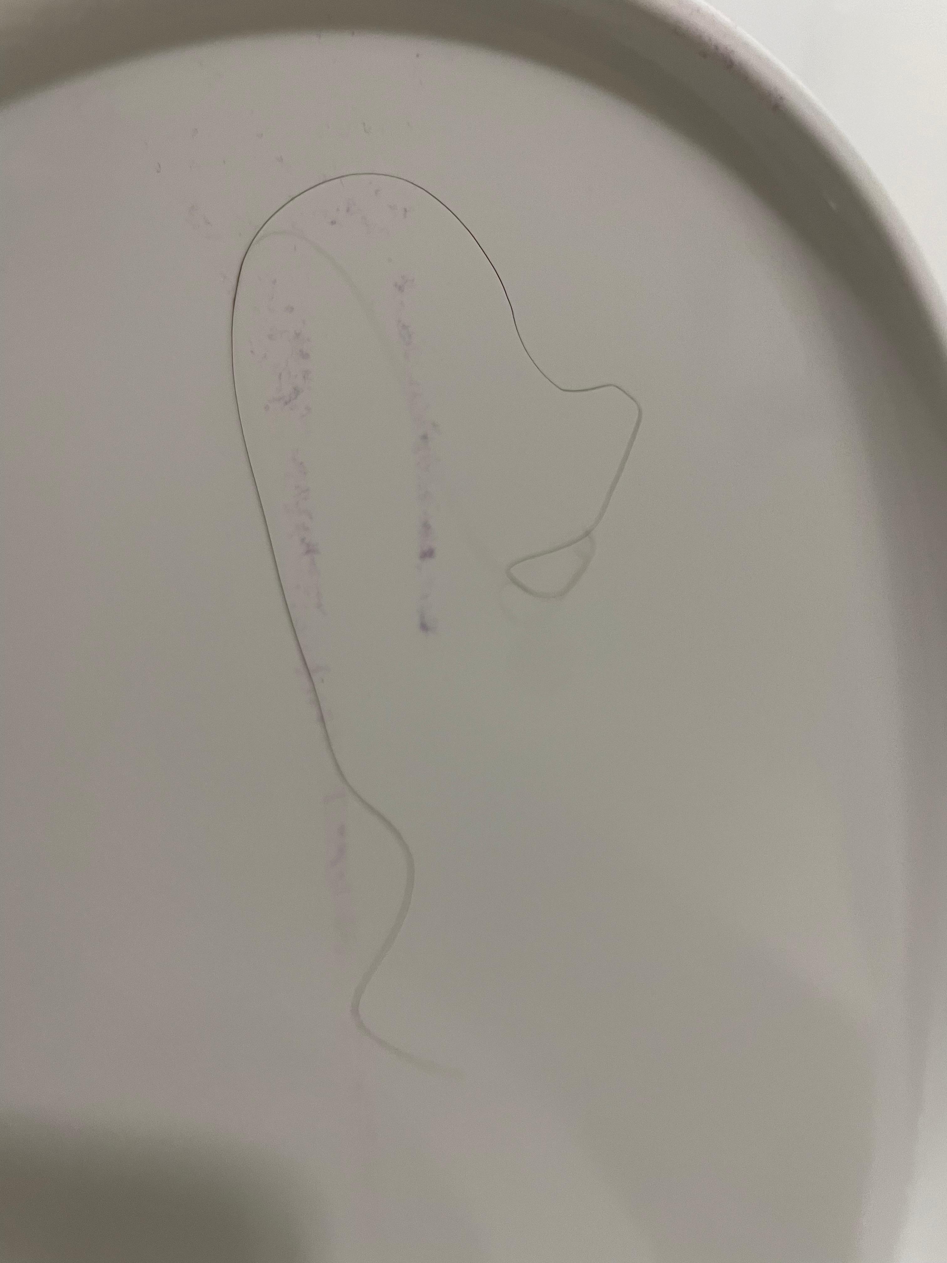 Sticky substance on back of toilet seat(my hair and purple shirt stuck to it)