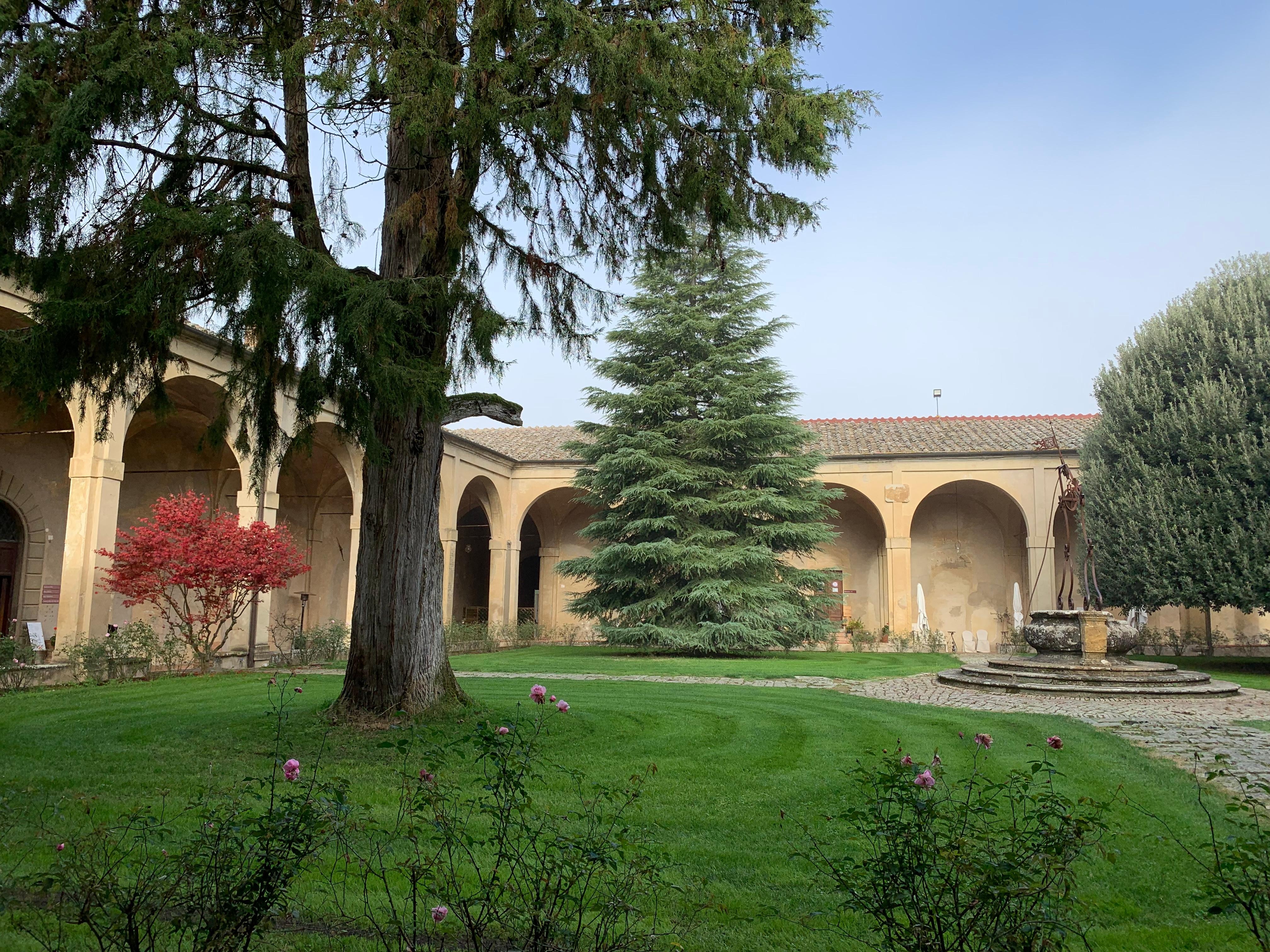 Garden inside hotel