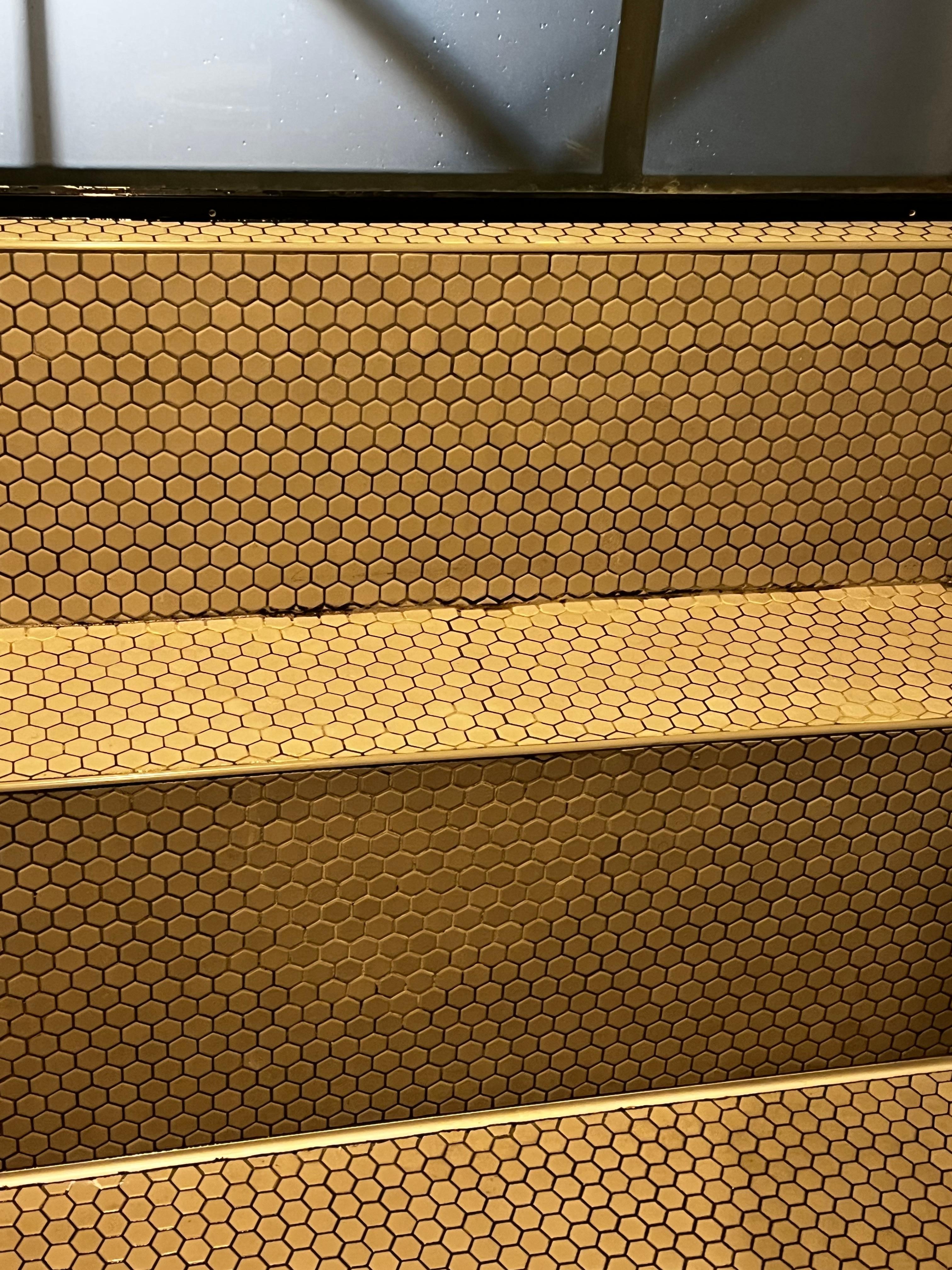 shower needed attention from mold as well