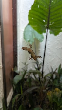 Vue depuis les toilettes