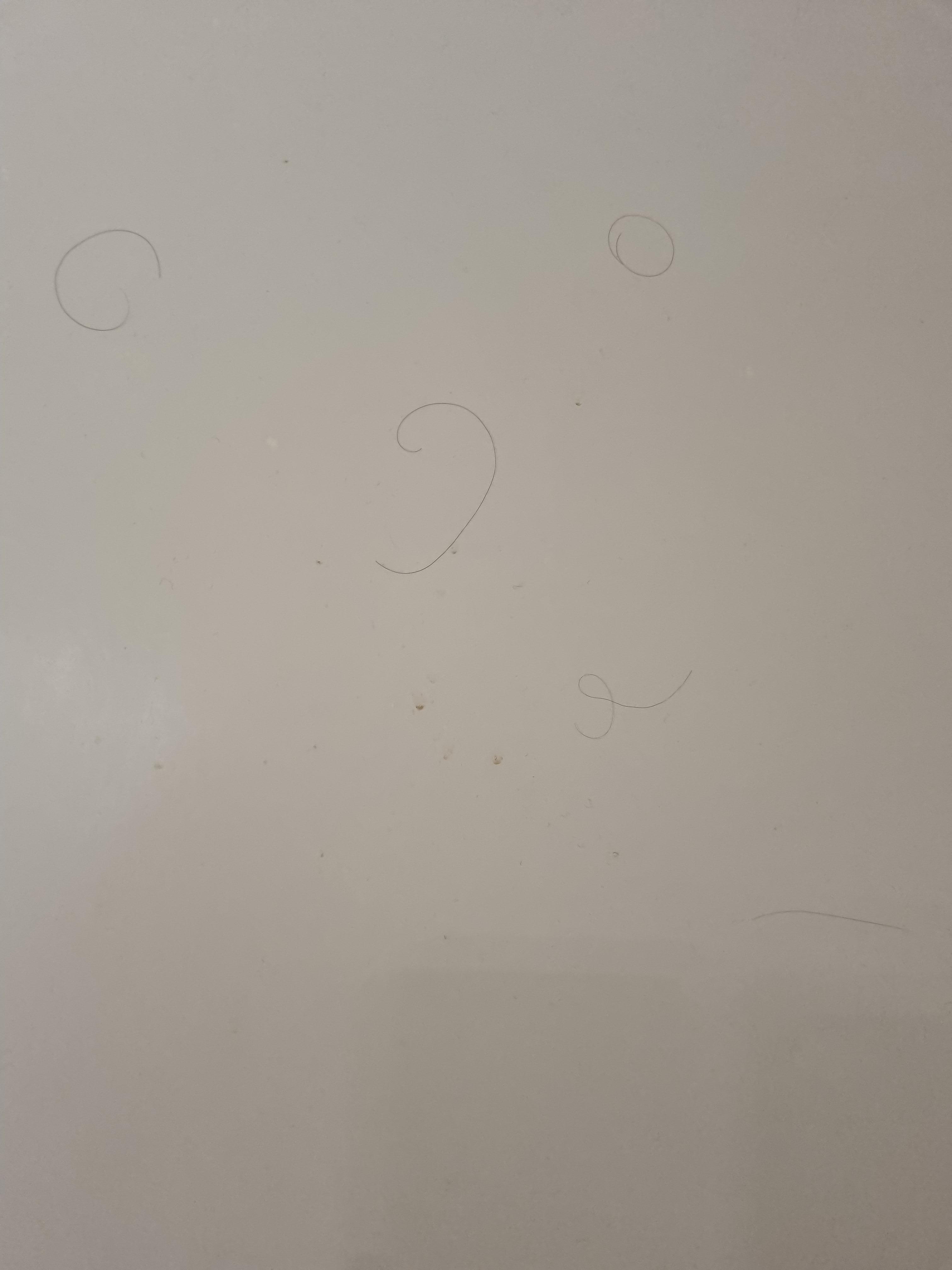 Cheveux sur la porte de salle de bains