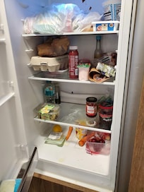 Filthy fridge