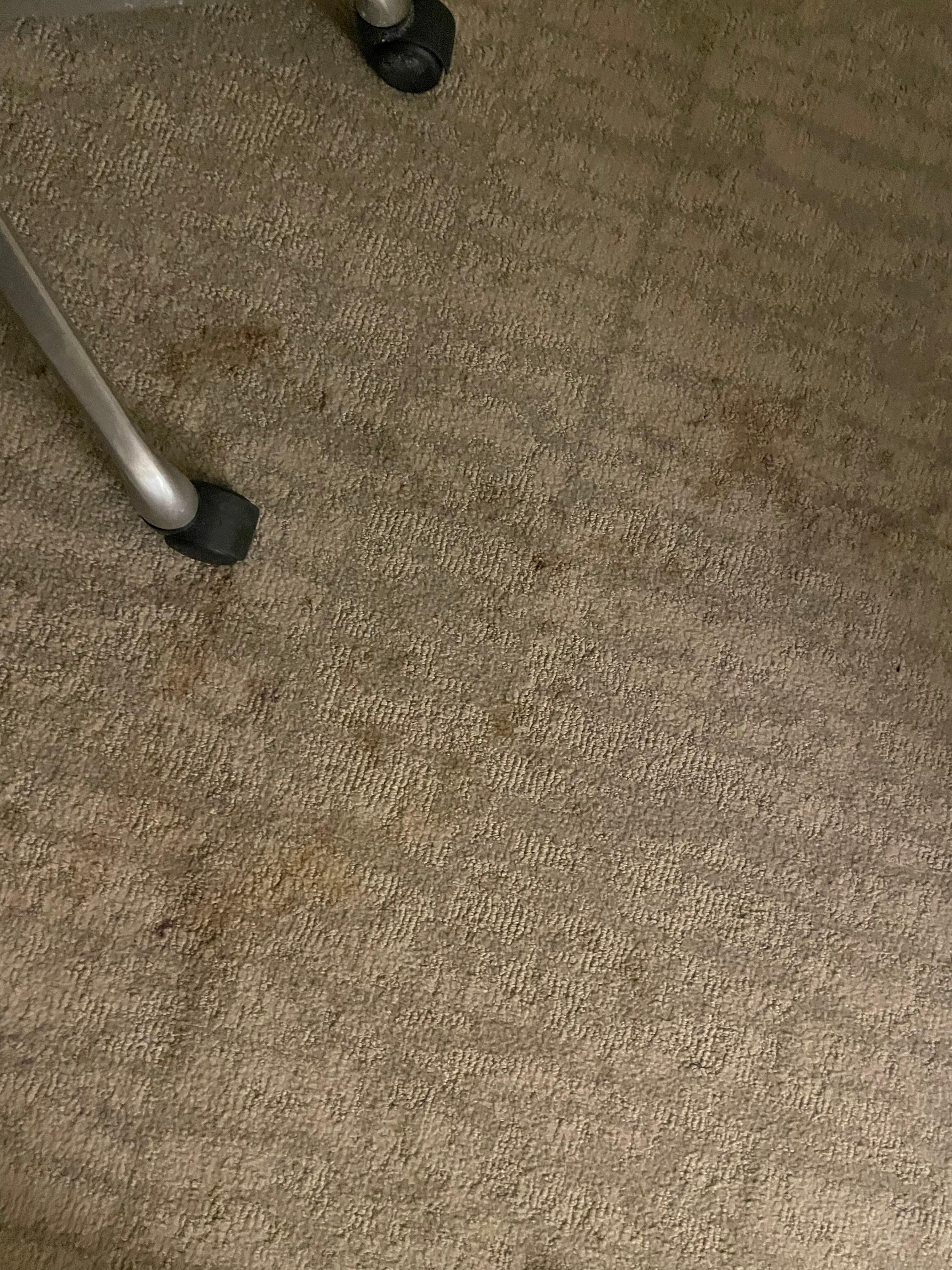 Dirty carpet