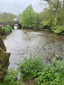 River view to the bridge where kingfisher flies
