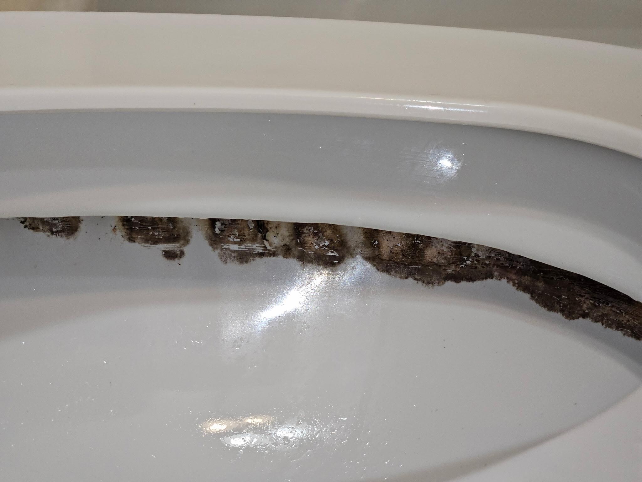 Inside toilet
