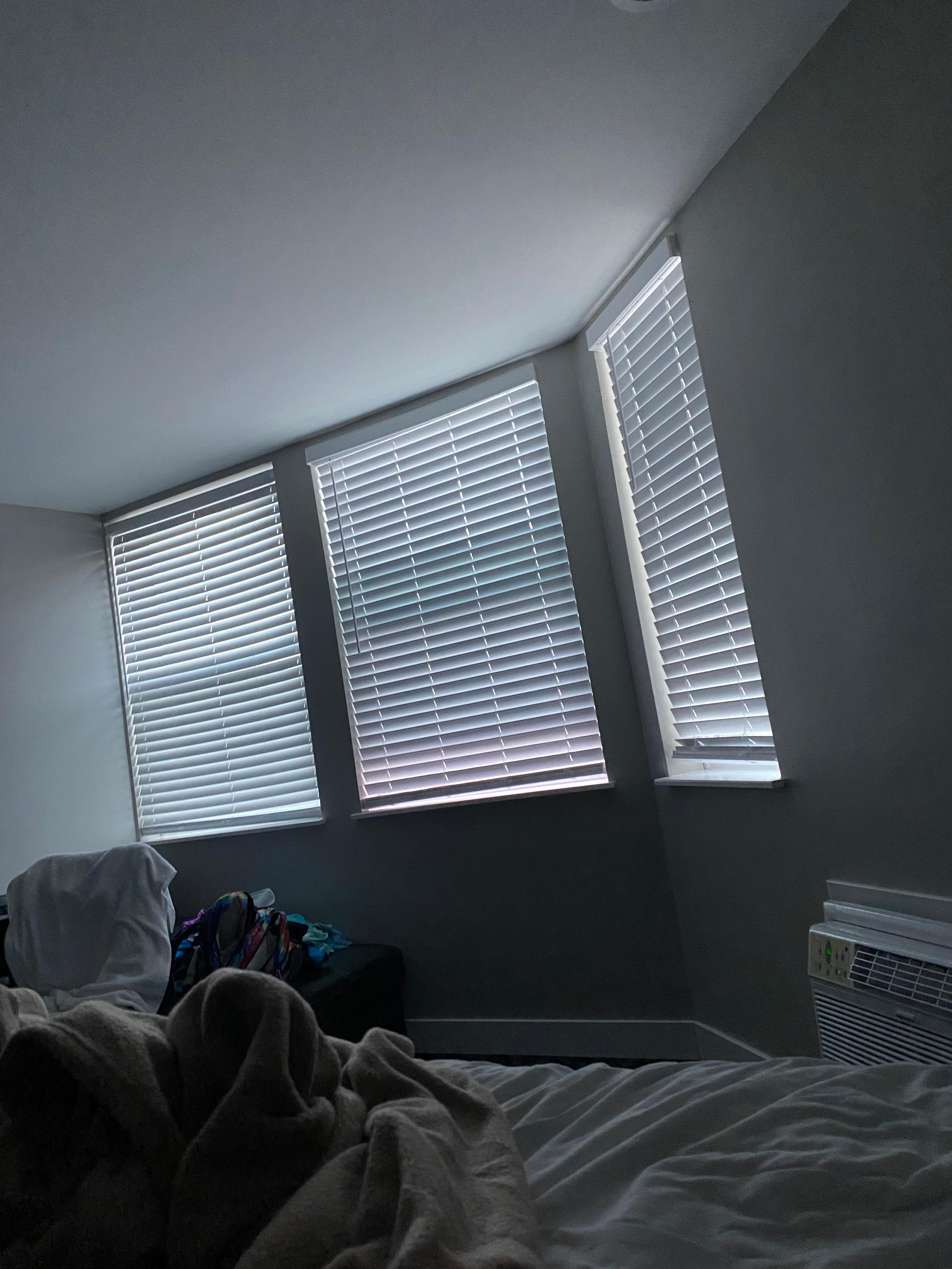 So much light coming in 