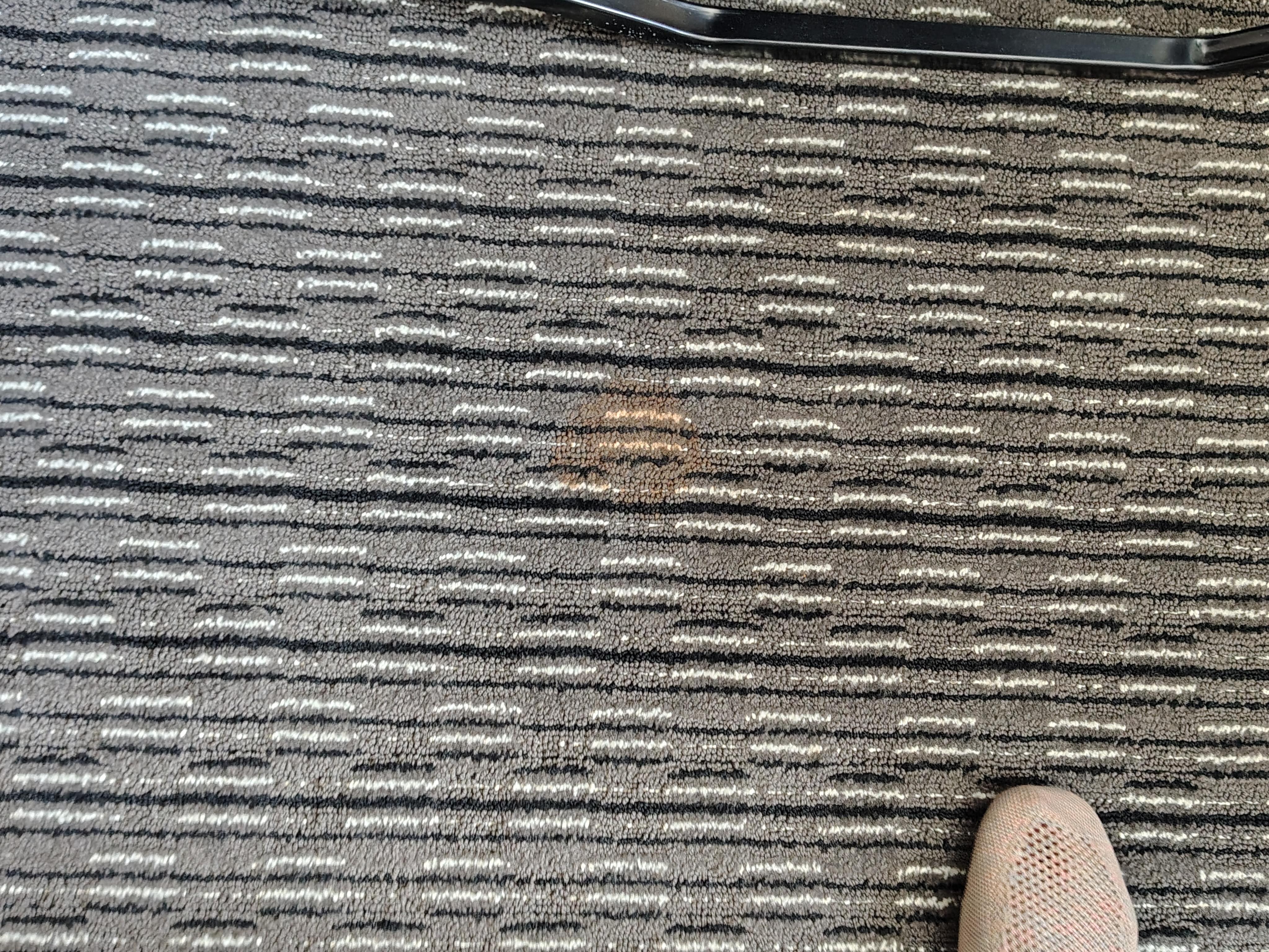Stains like this throughout the carpet smell like dog feces moved rooms