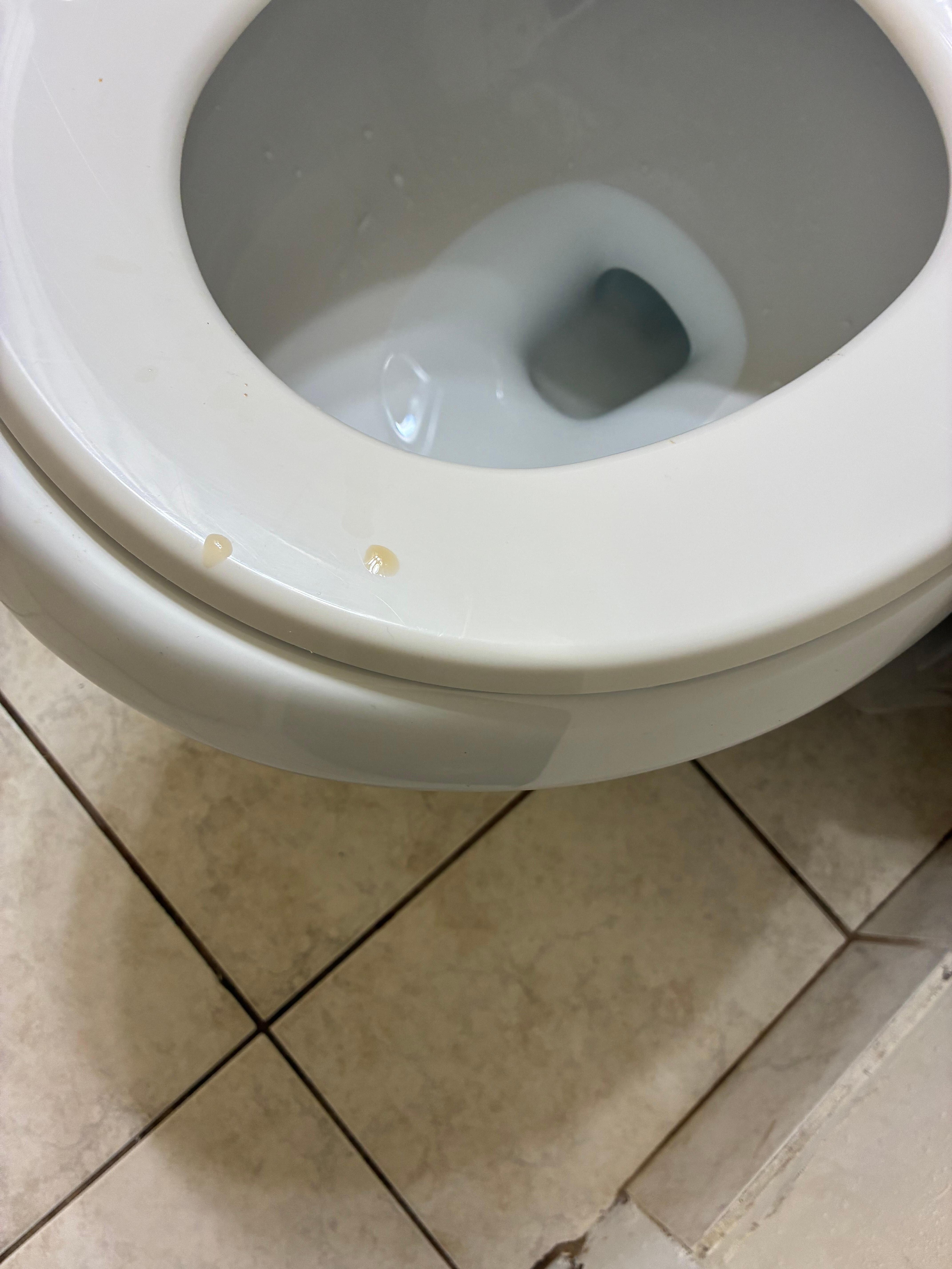 Urine on the toilet seat 