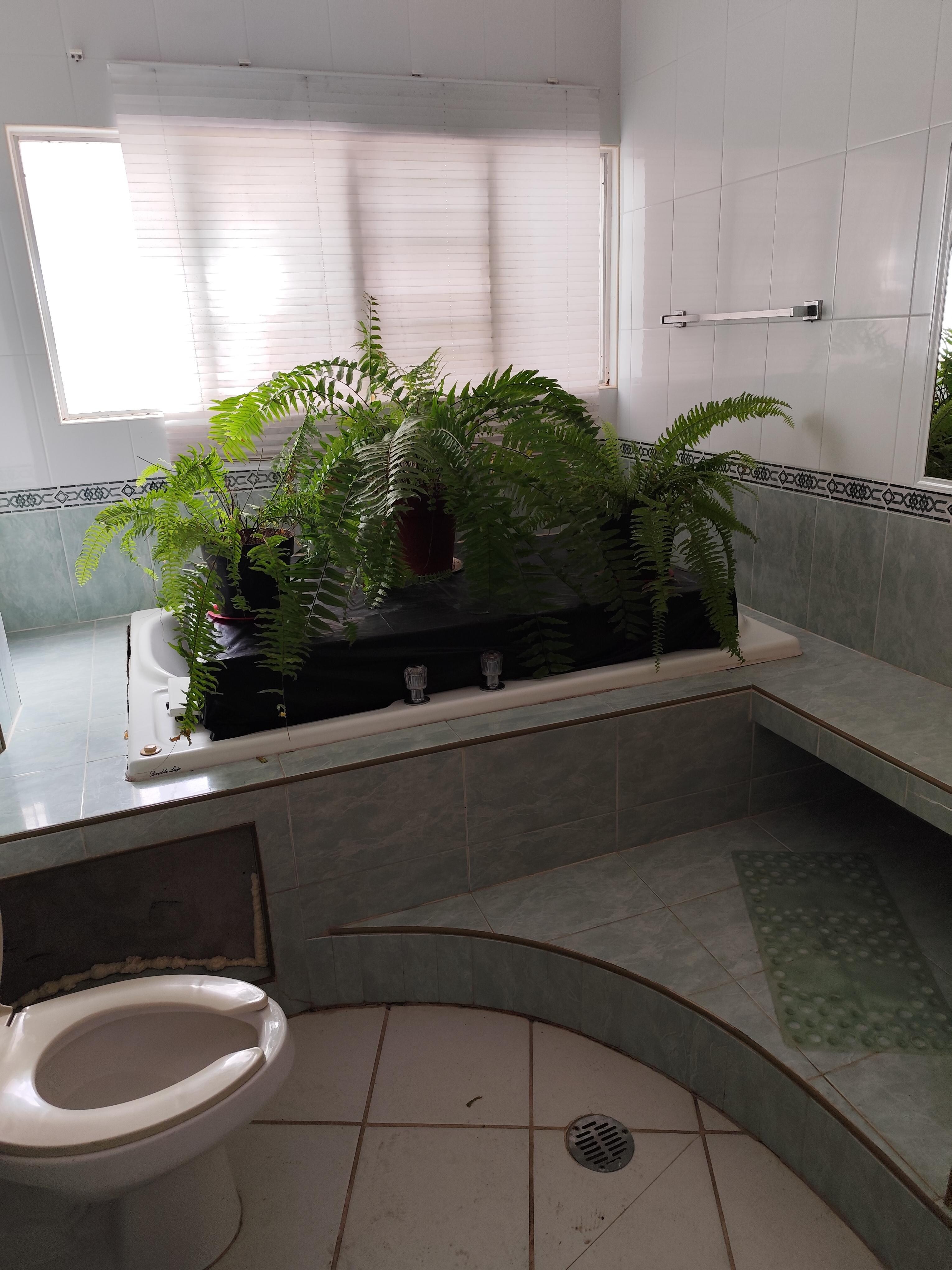 Esta cancelado Jacuzzi