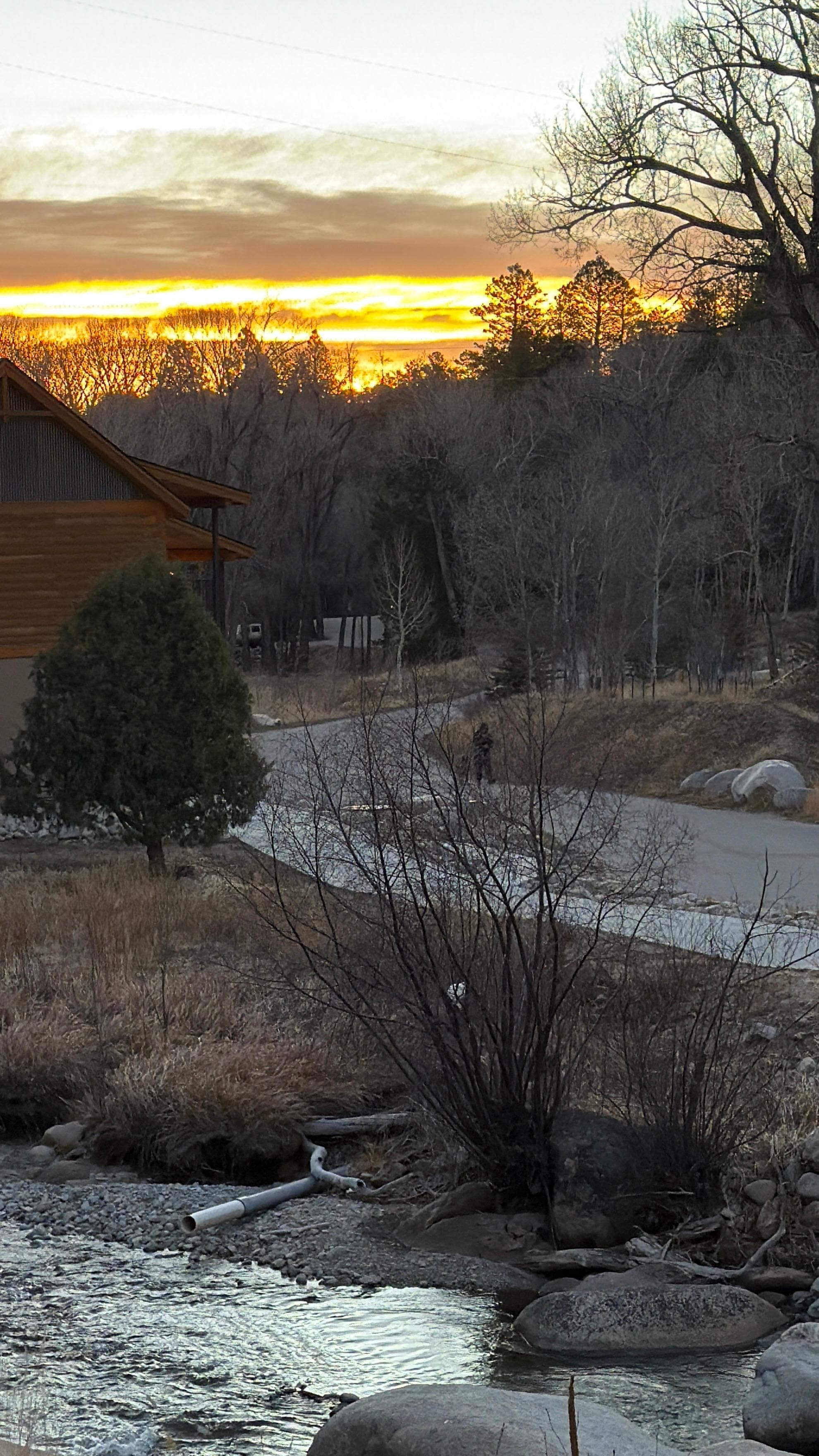 Morning by the creek. 