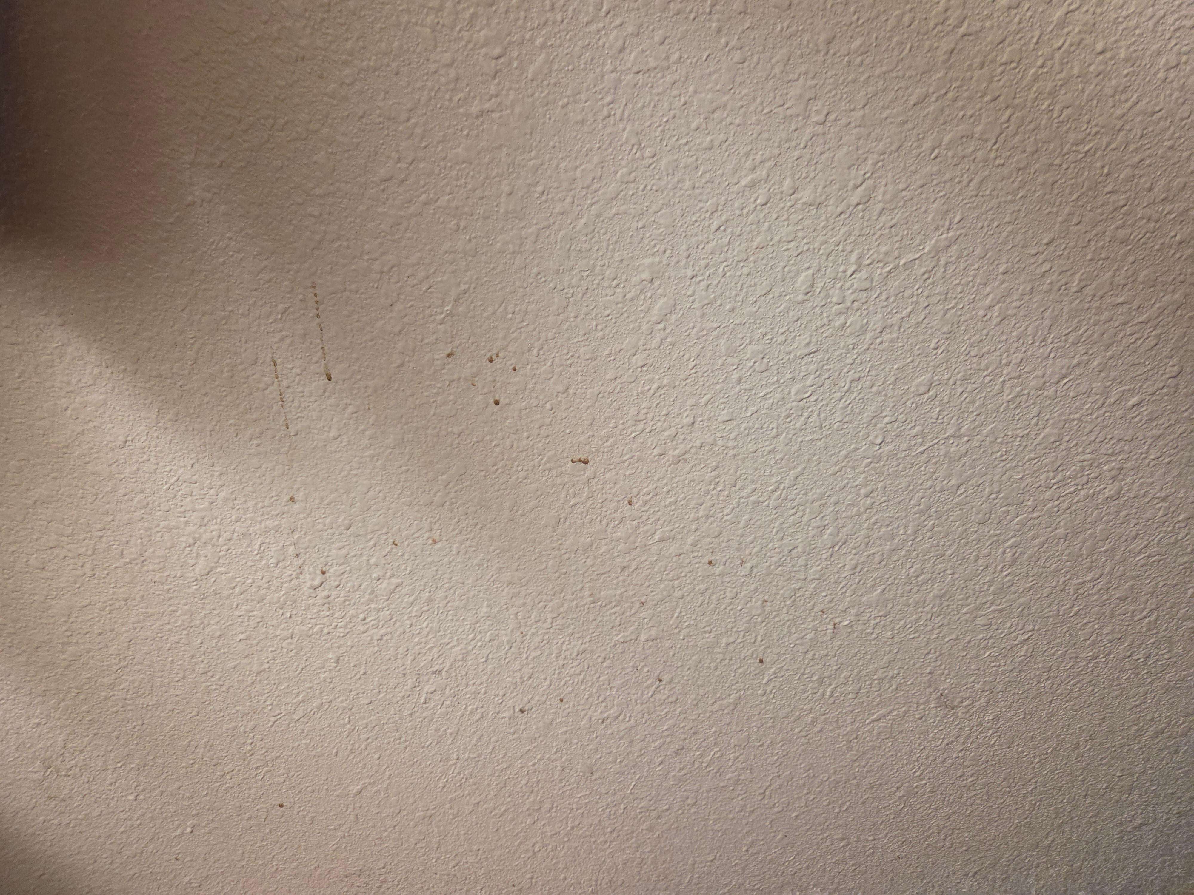 Wall