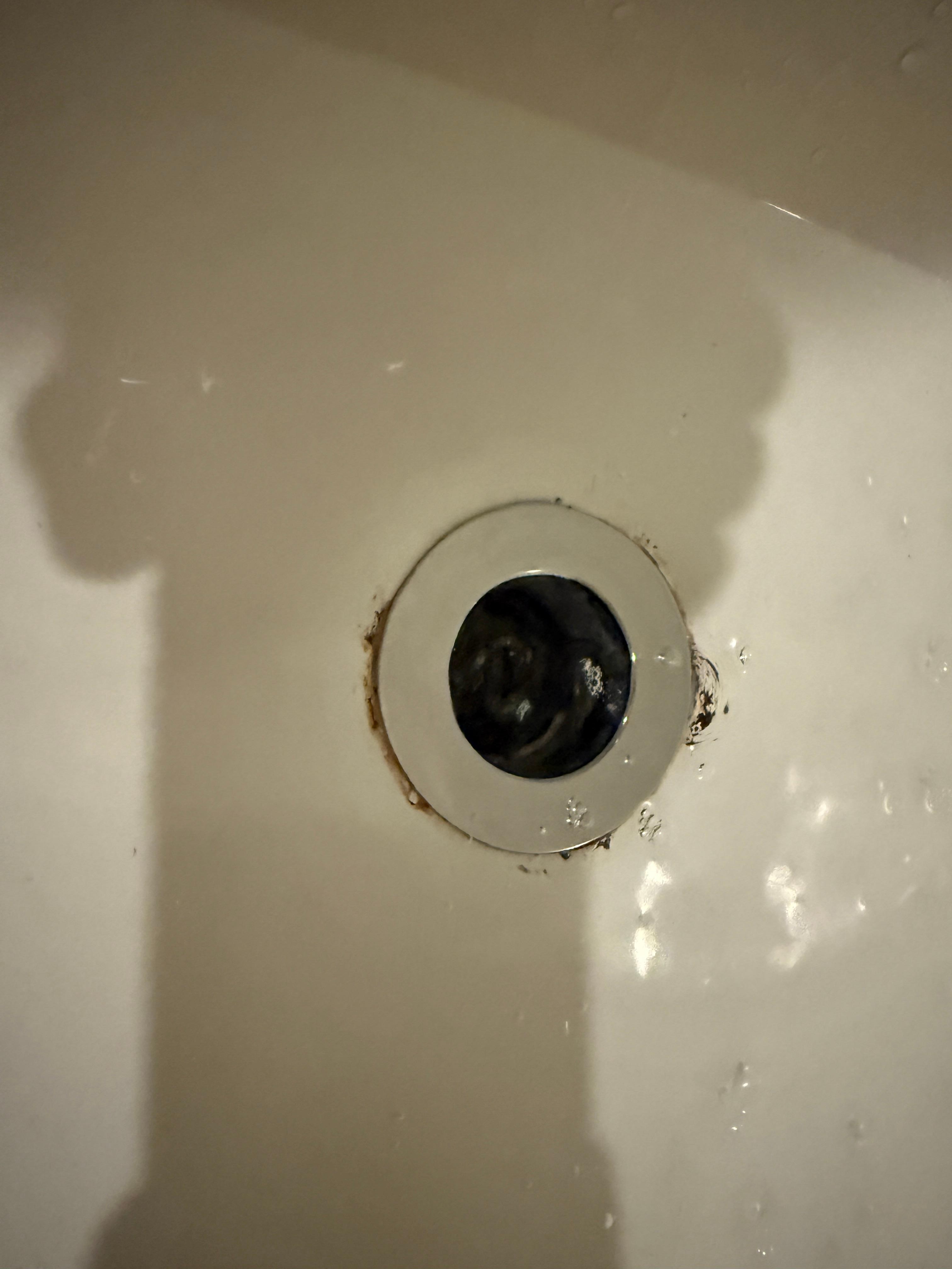 drain was clogged with hair from previous guest.
