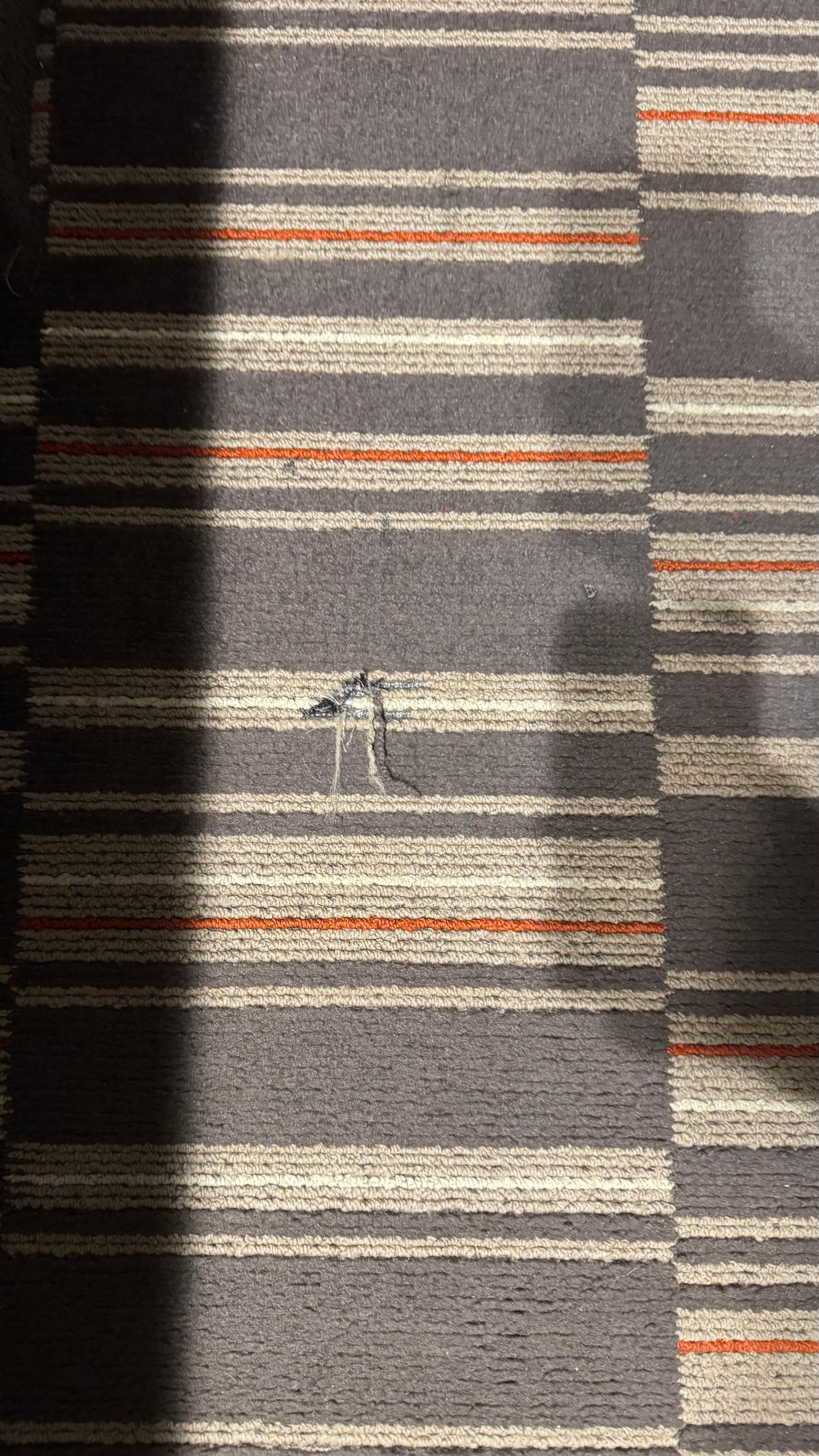 Frayed and dirty carpet in the room.