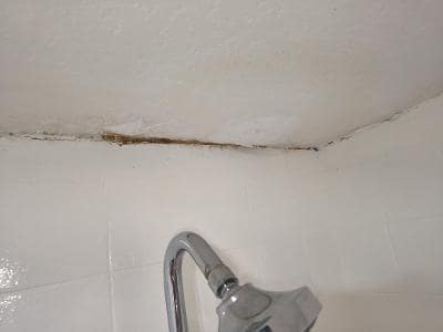 possible mold
