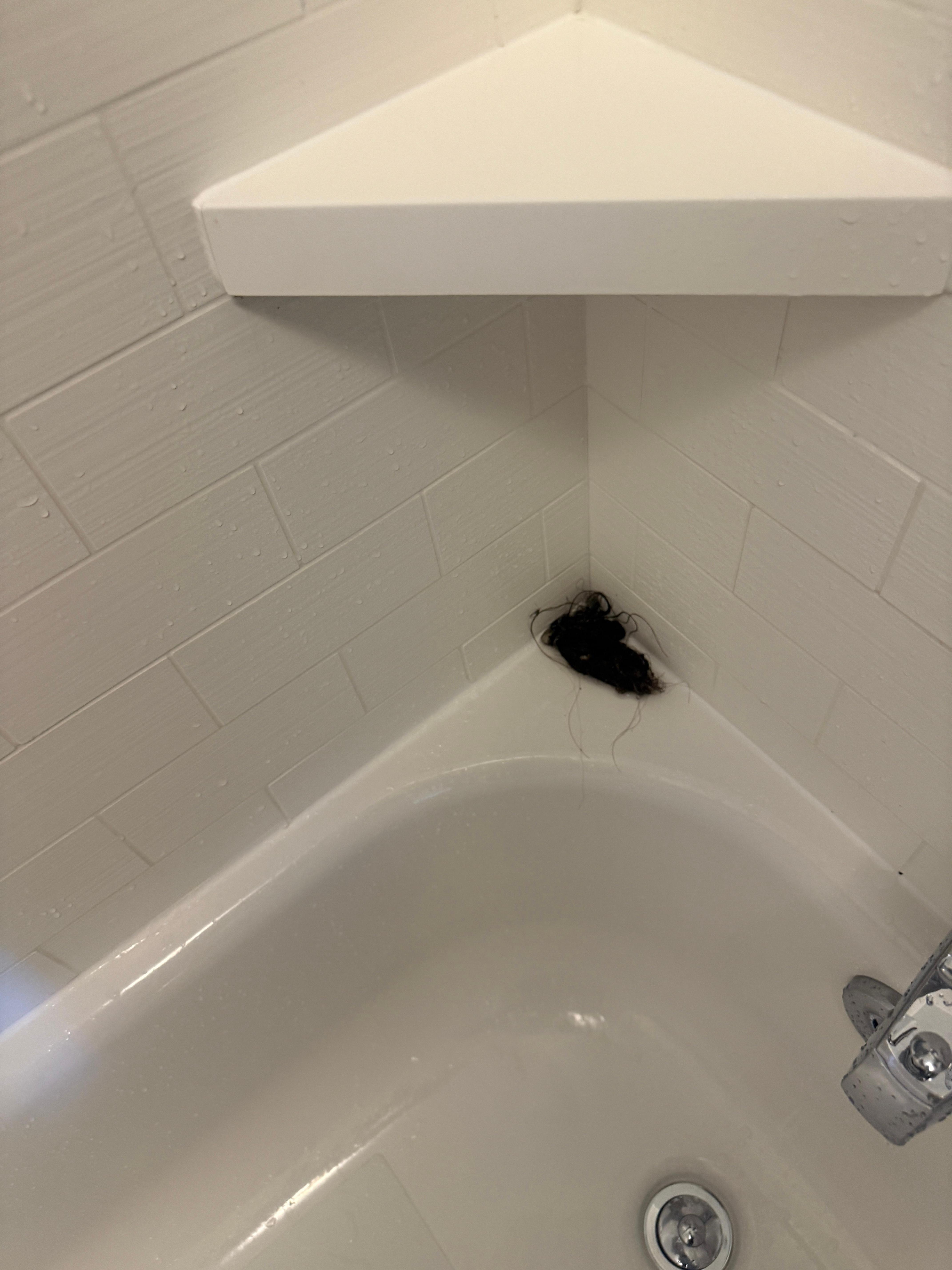 The bathroom was clogged with this hair