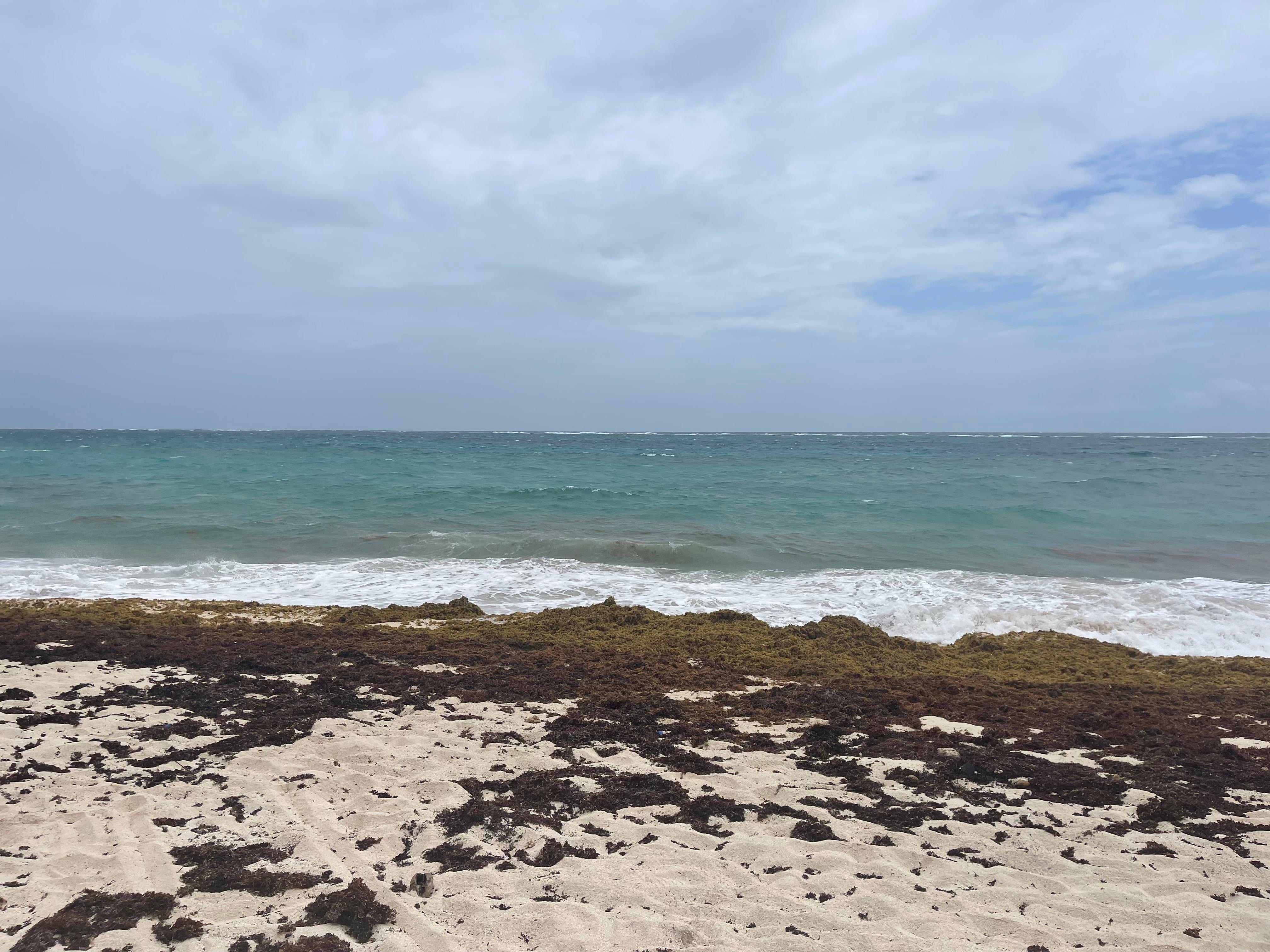 Beach (unable to swim here) 