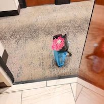 Recieving flowers at my hotel room door