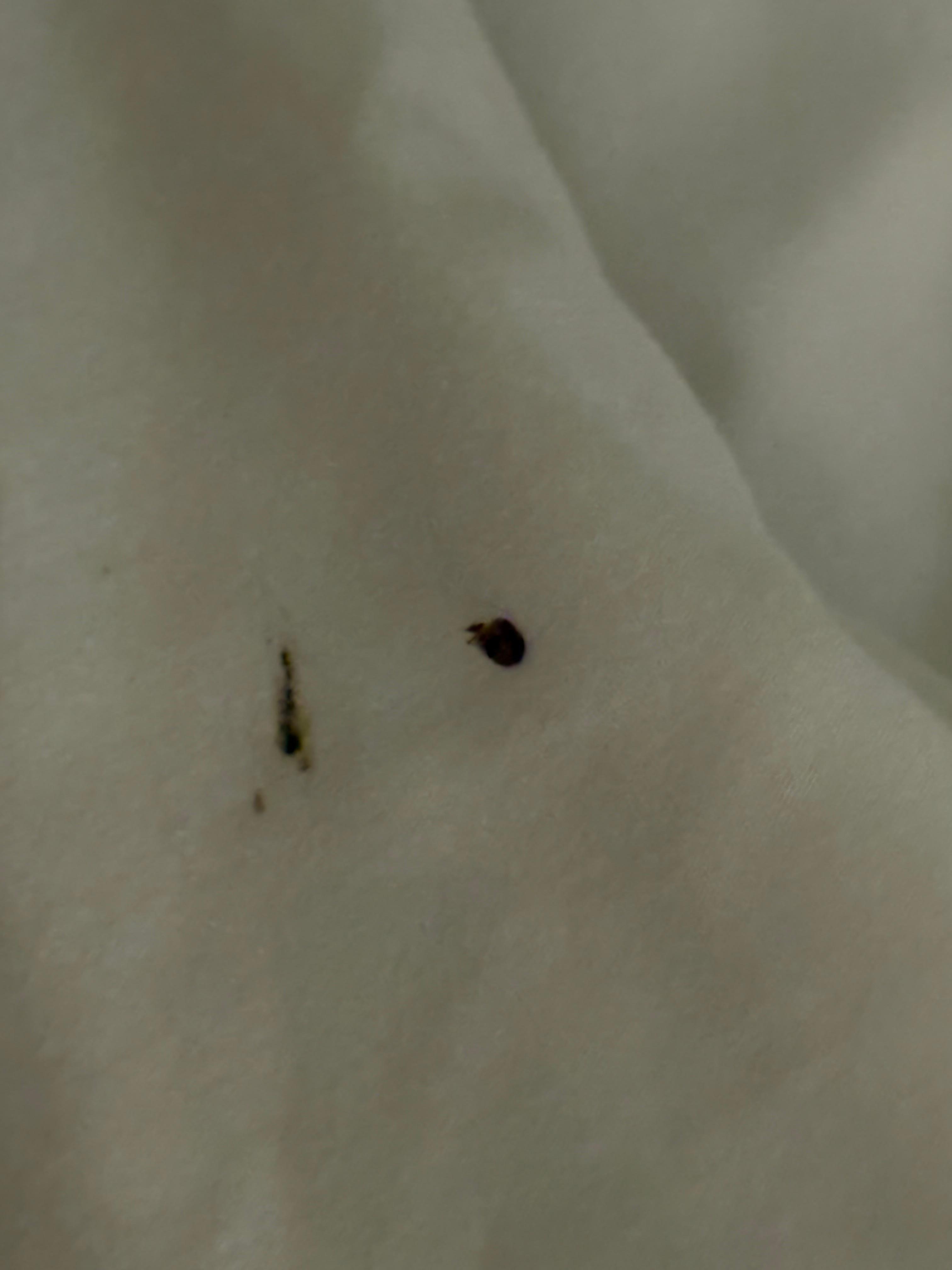 I saw a dark spot and rubbed it.