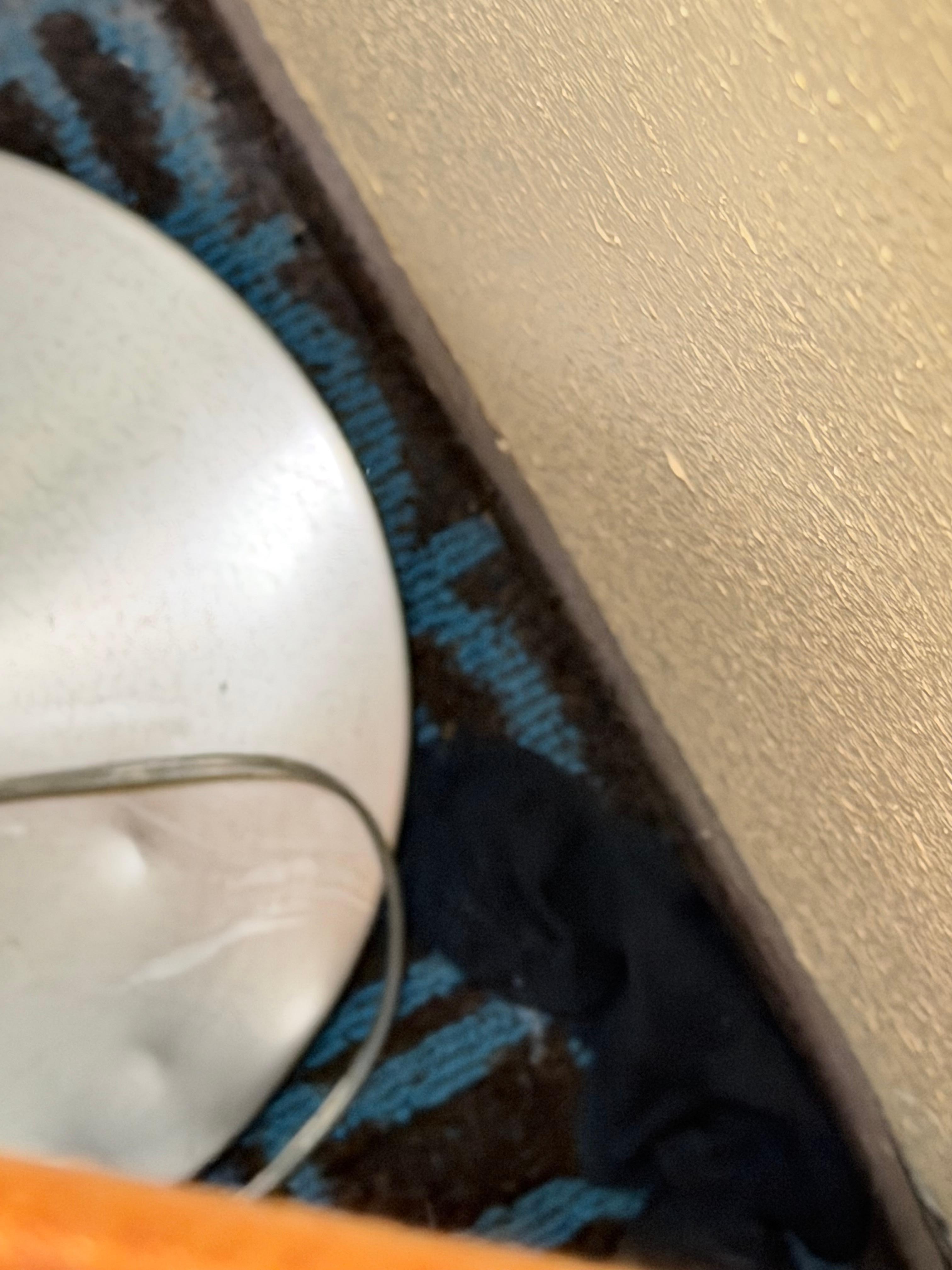 PREVIOUS RESIDENTS BELONGINGS