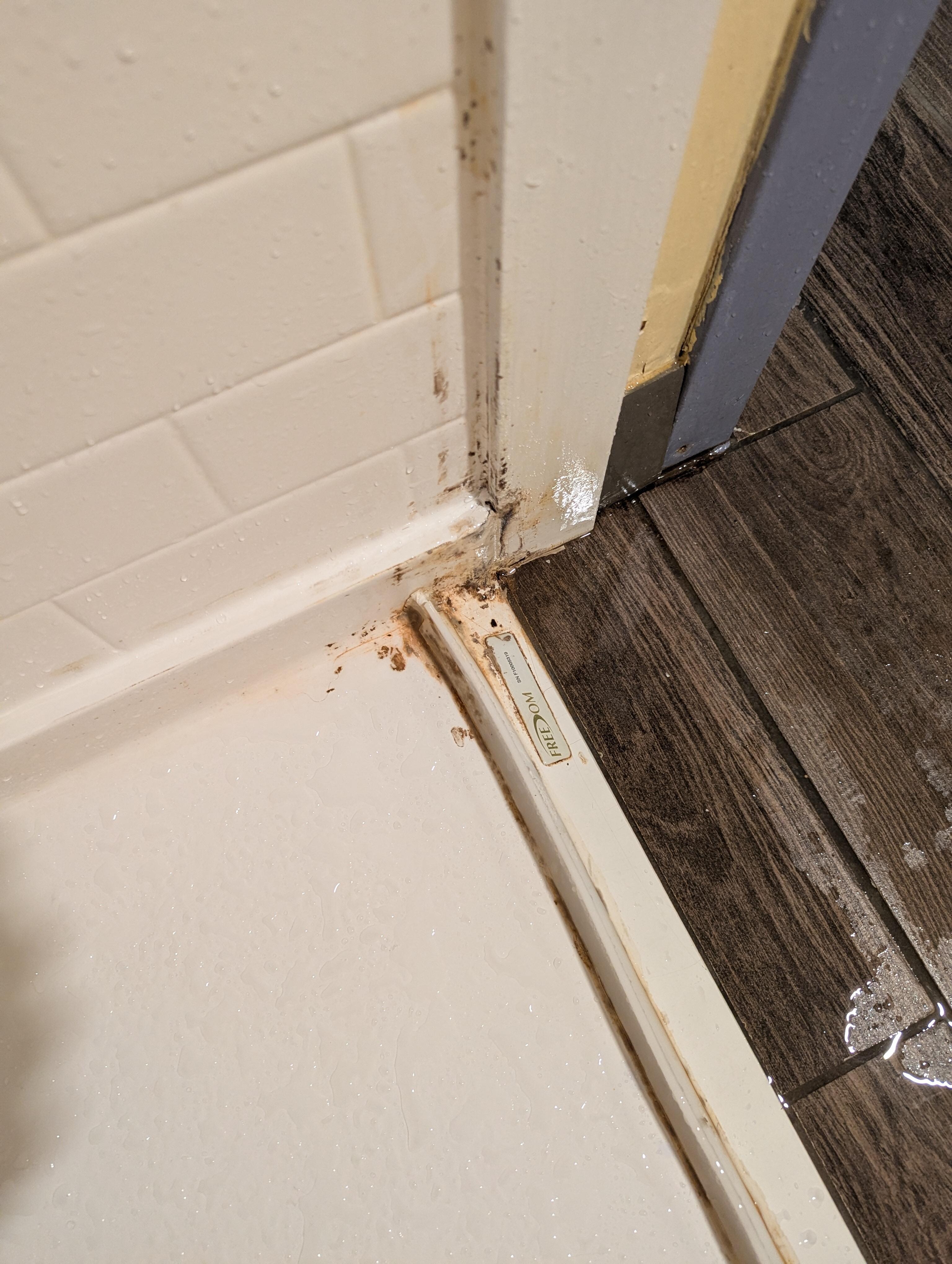 Shower stall
