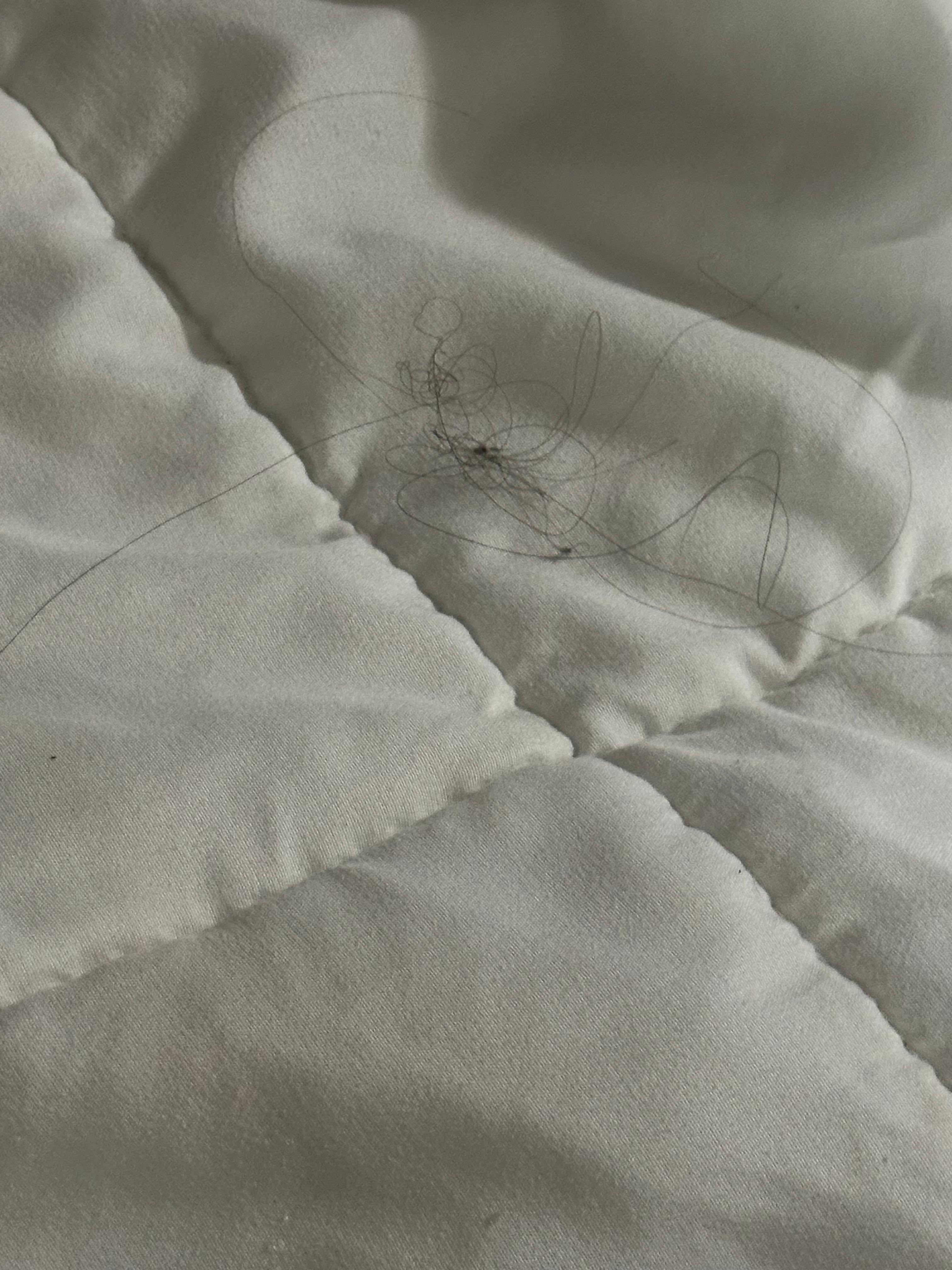 Big clump black hair on this blanket  was full of old what looked like cigarette burns