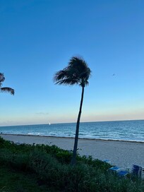 View from veranda while listening to live music